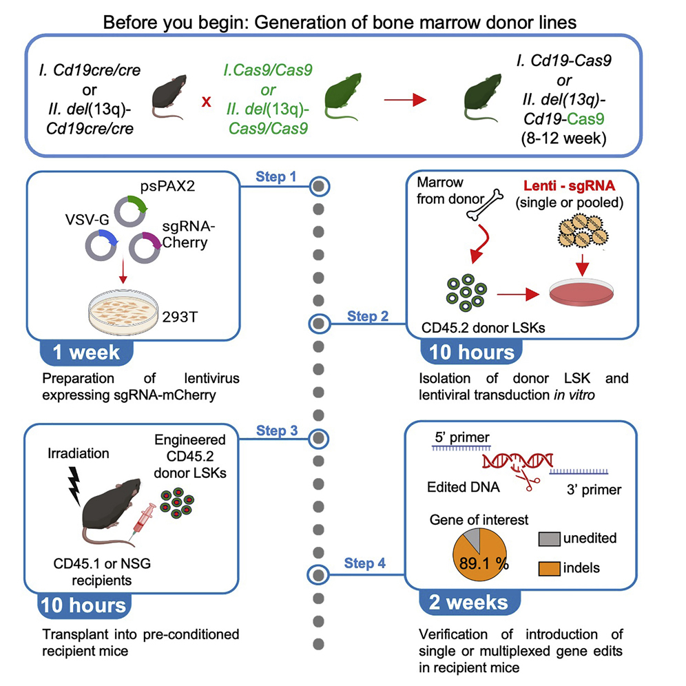 Cell Press: STAR Protocols