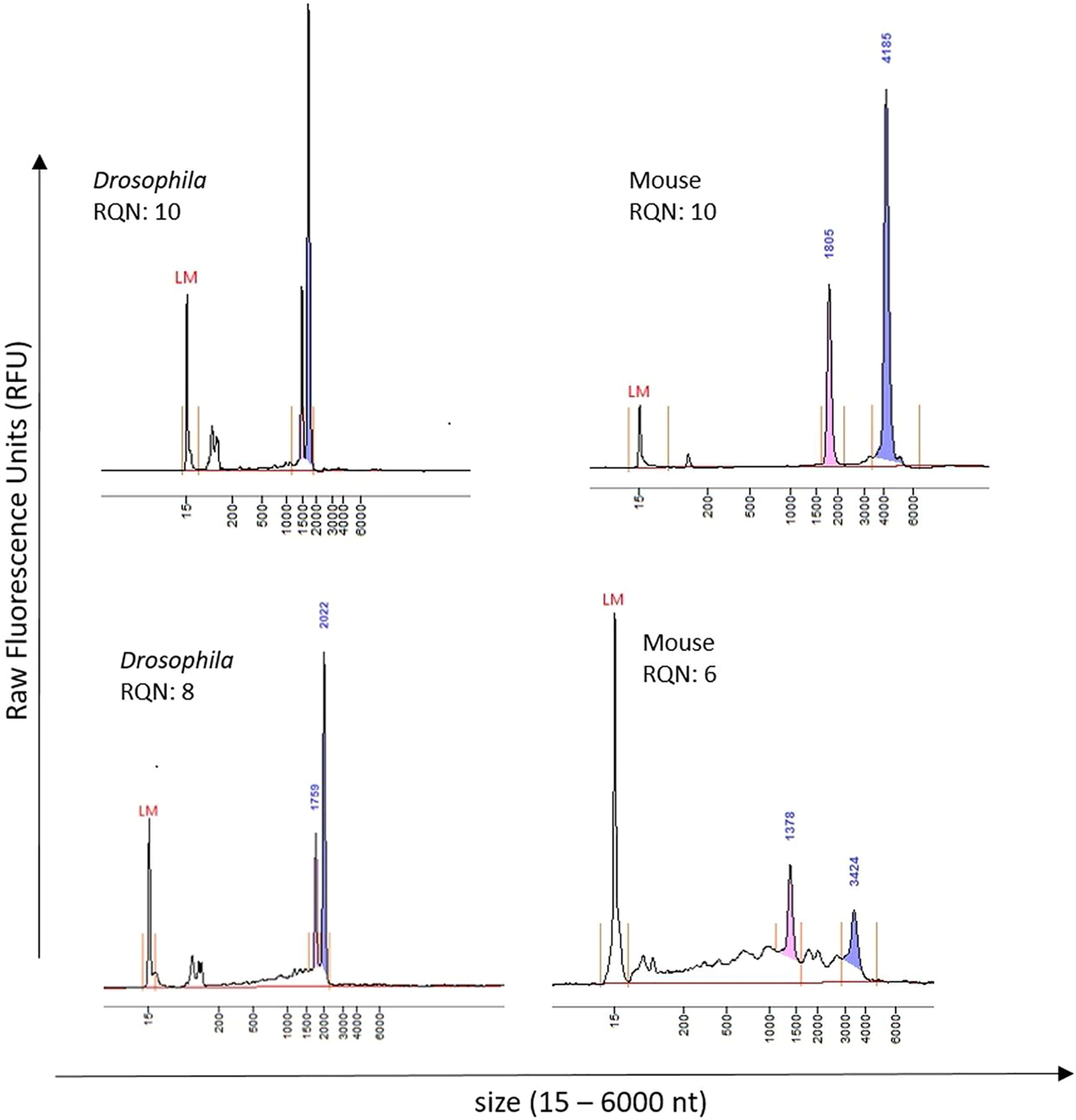 Cell Press: STAR Protocols