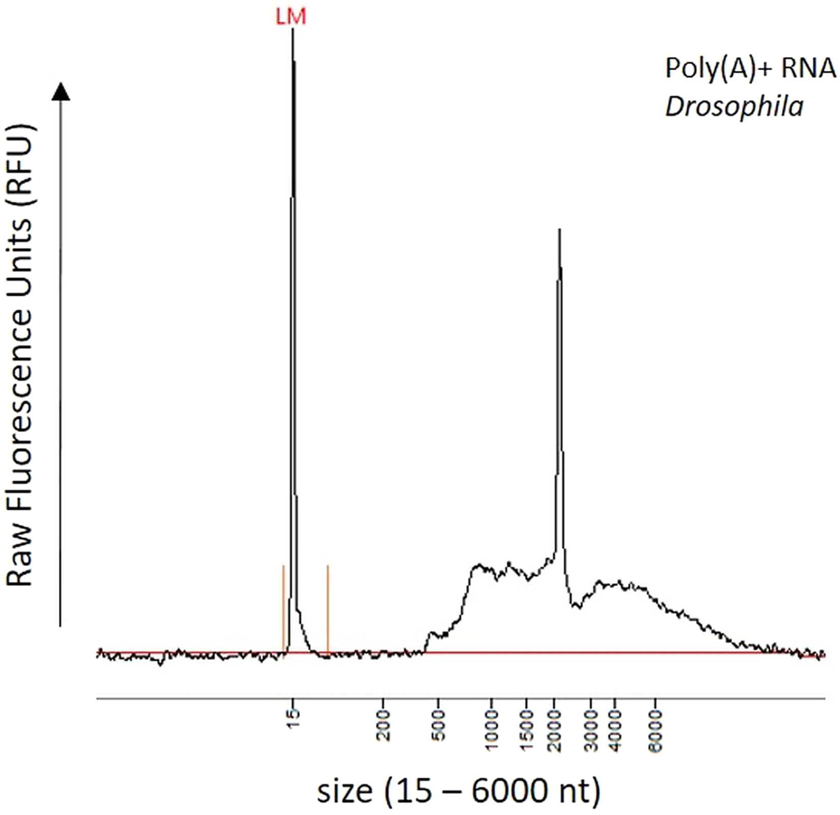 Cell Press: STAR Protocols