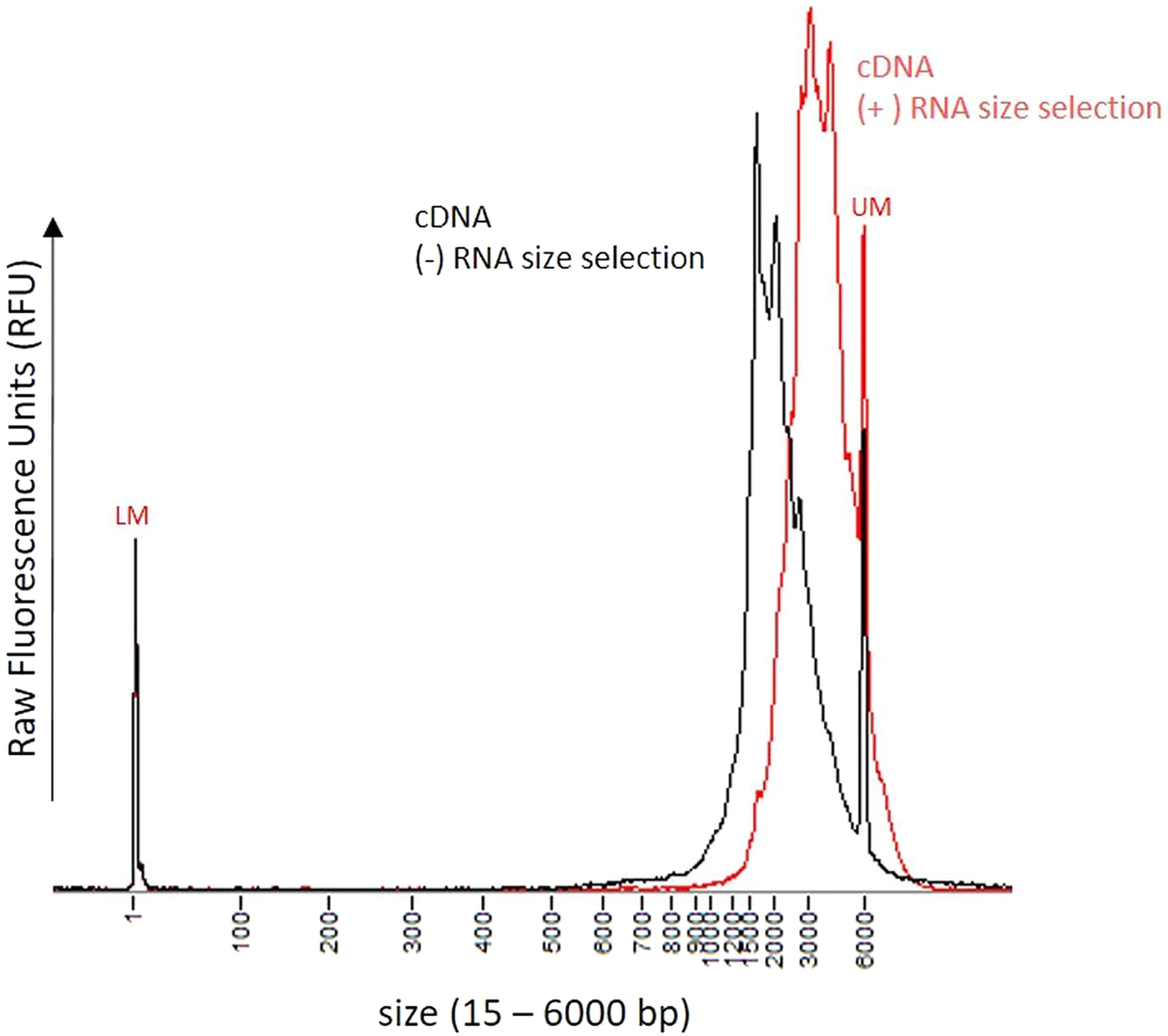 Cell Press: STAR Protocols
