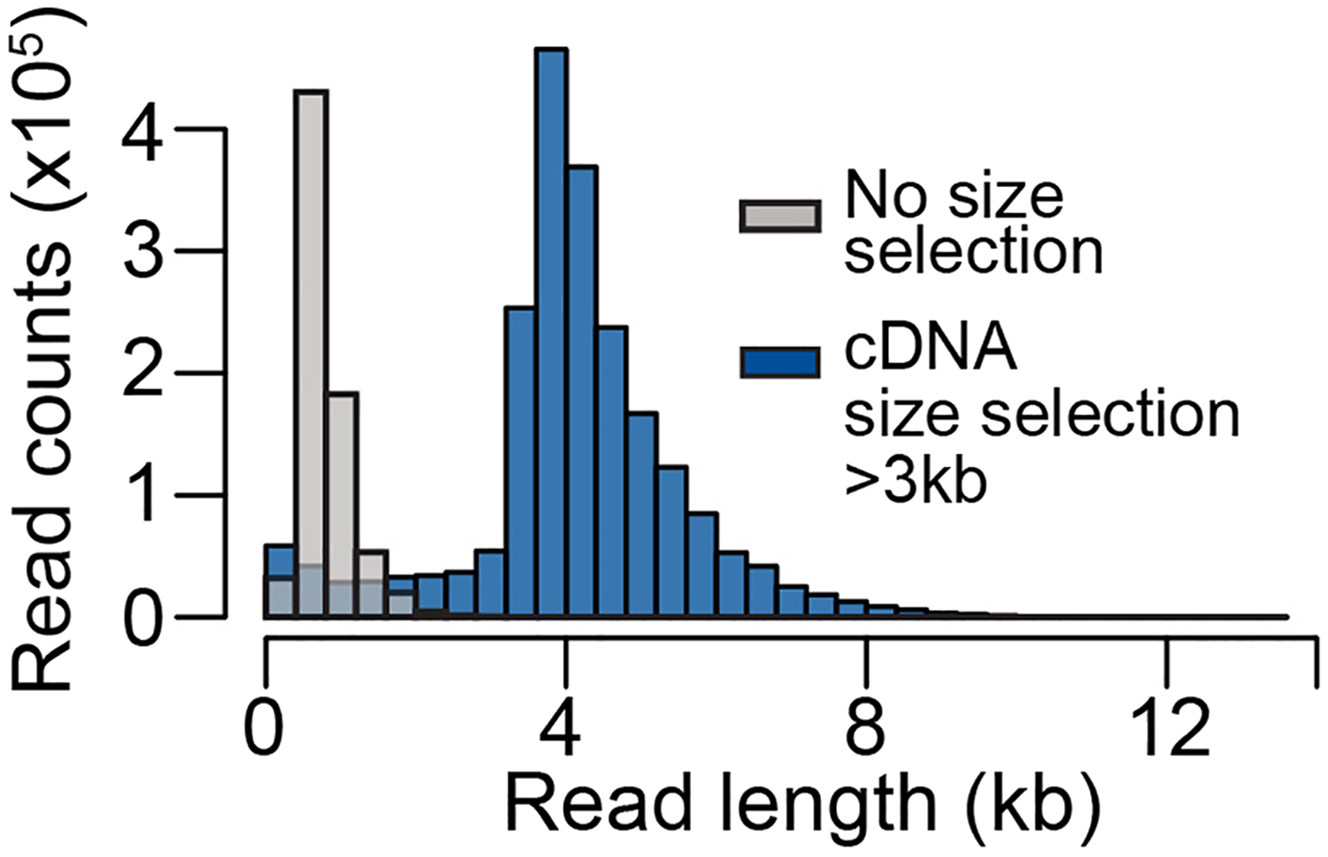 Cell Press: STAR Protocols