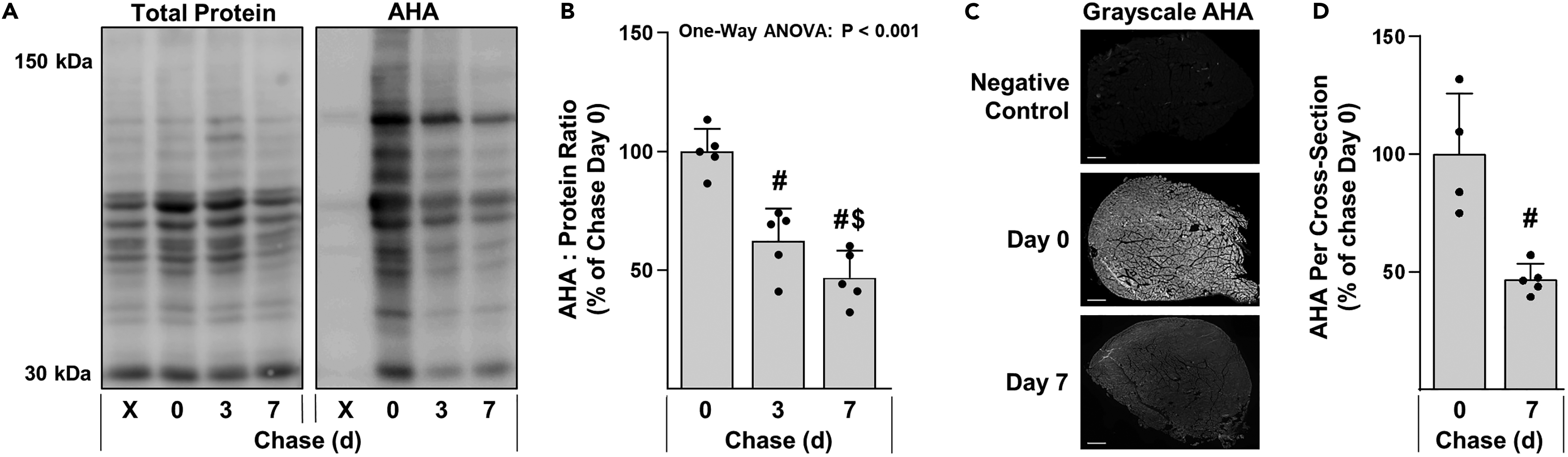 Cell Press: STAR Protocols