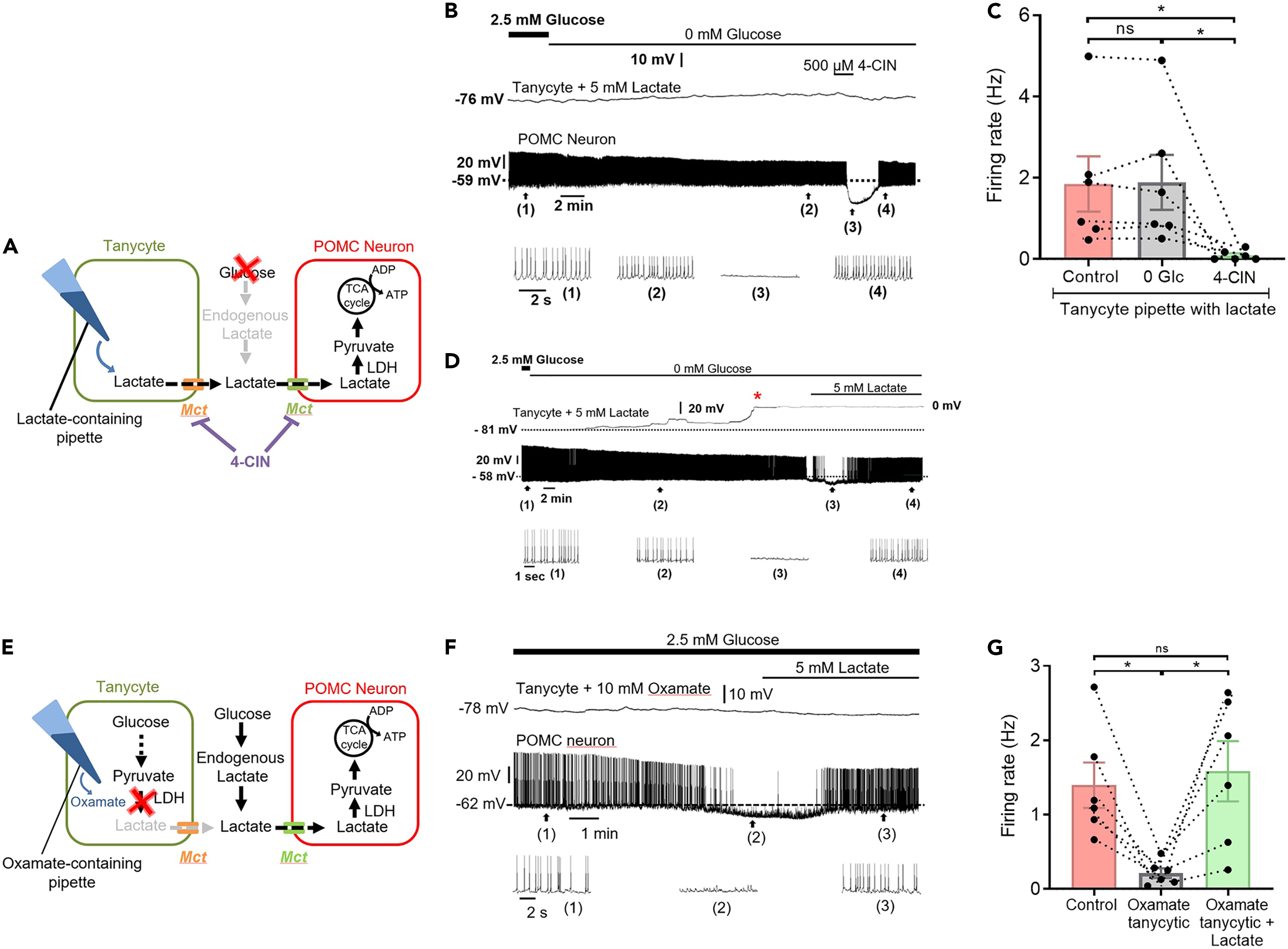 Cell Press: STAR Protocols