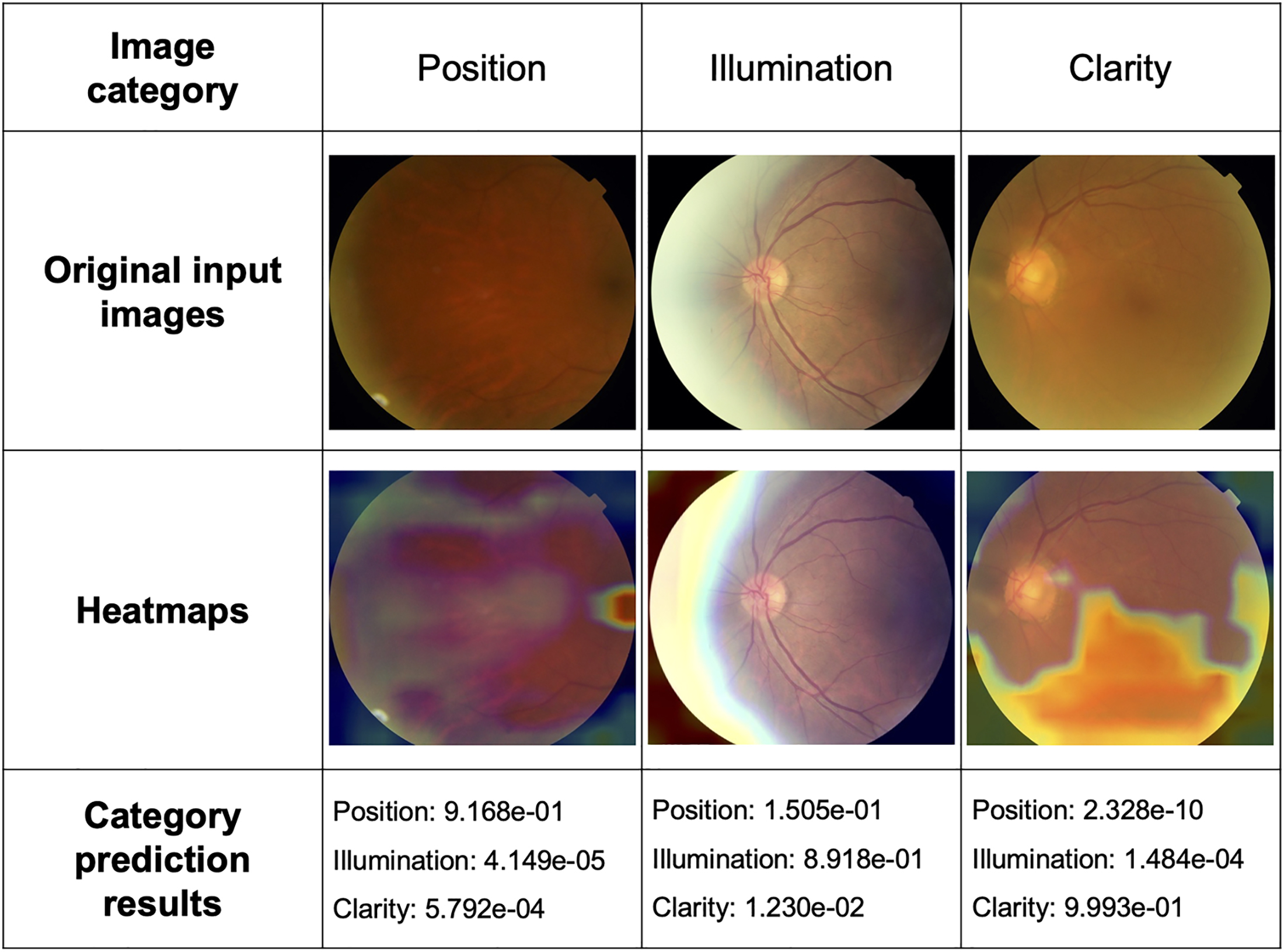 Cell Press: STAR Protocols