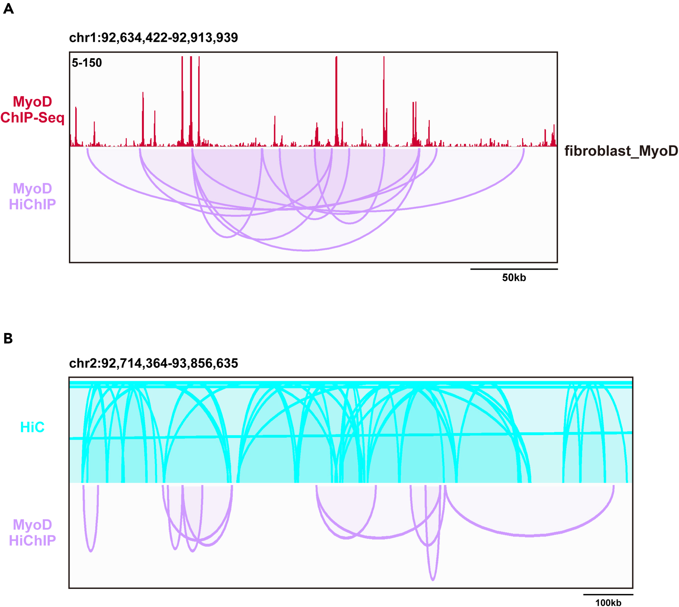 Cell Press: STAR Protocols