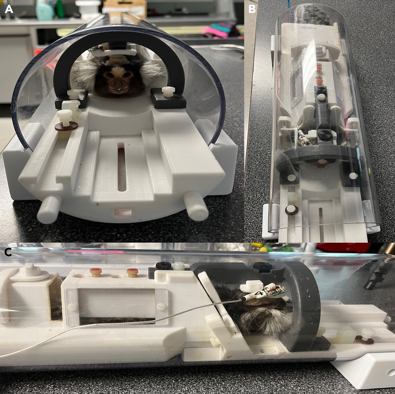 Cell Press: STAR Protocols