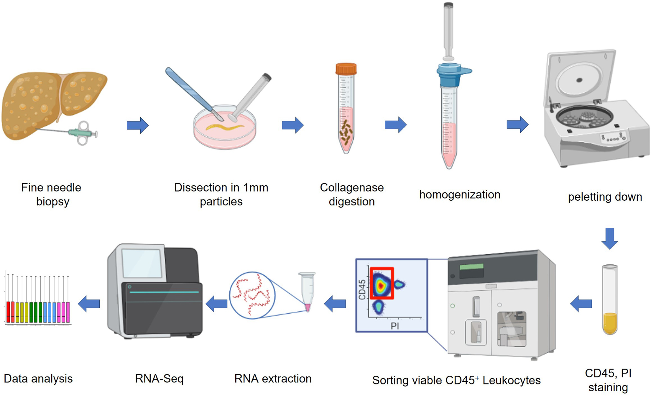 Cell Press: STAR Protocols