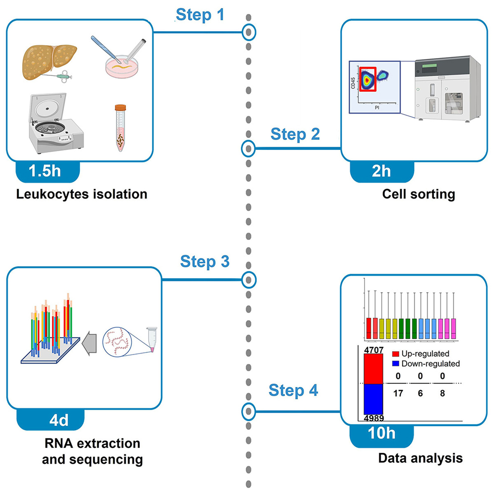 Cell Press: STAR Protocols