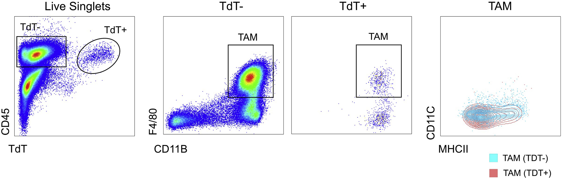 Cell Press: STAR Protocols