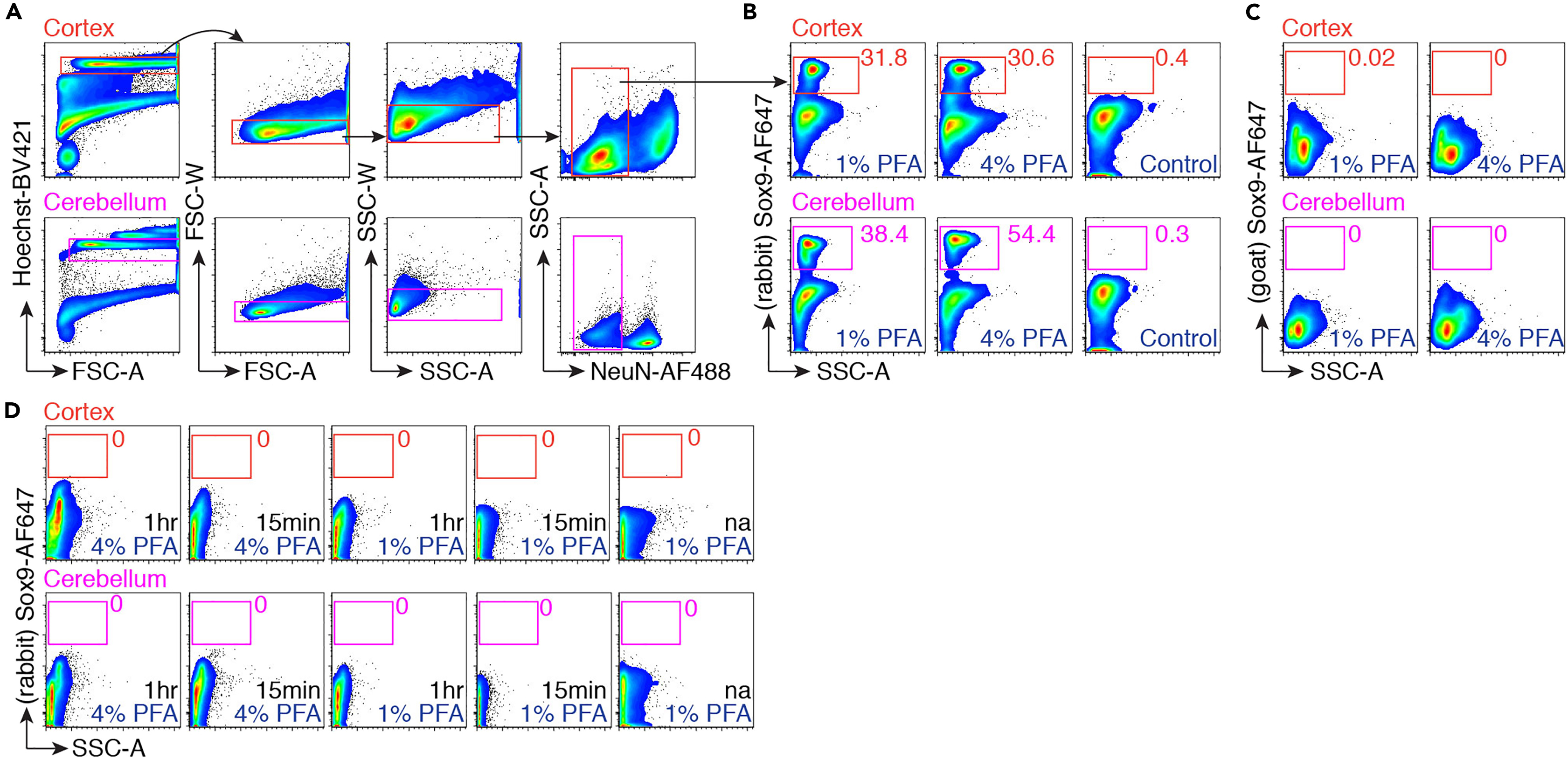Cell Press: STAR Protocols