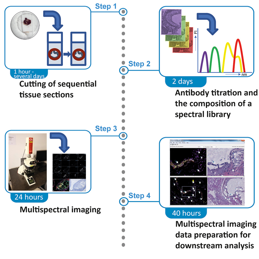 Cell Press: STAR Protocols