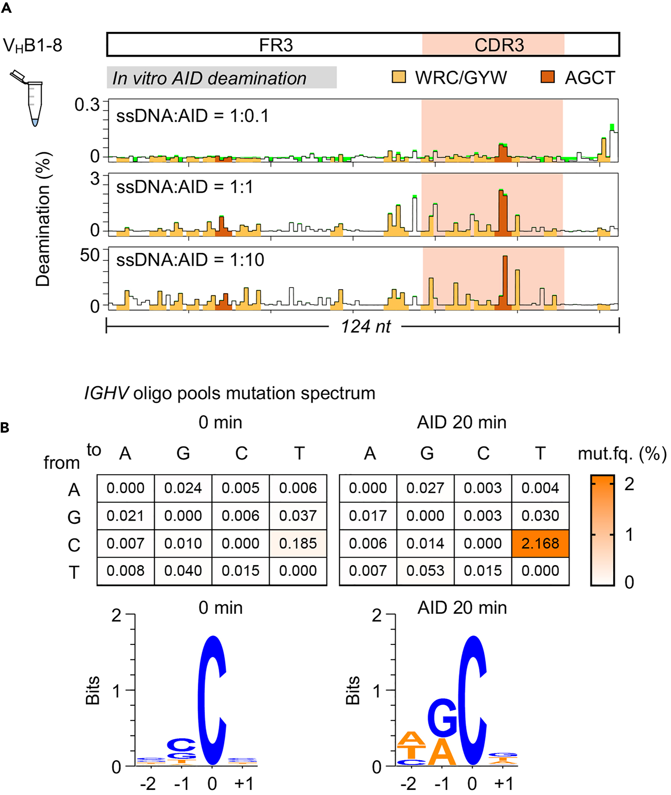 Cell Press: STAR Protocols