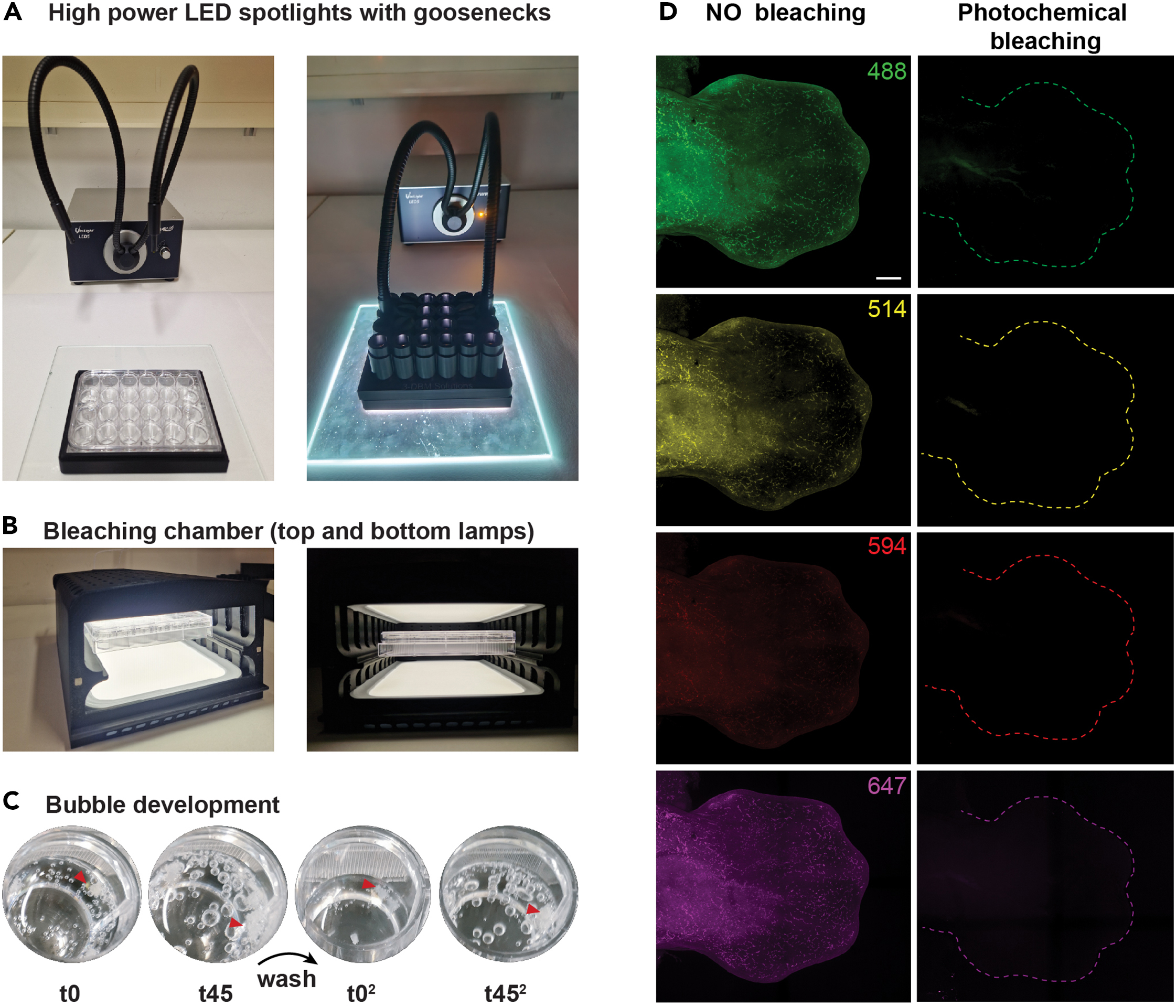 Cell Press: STAR Protocols