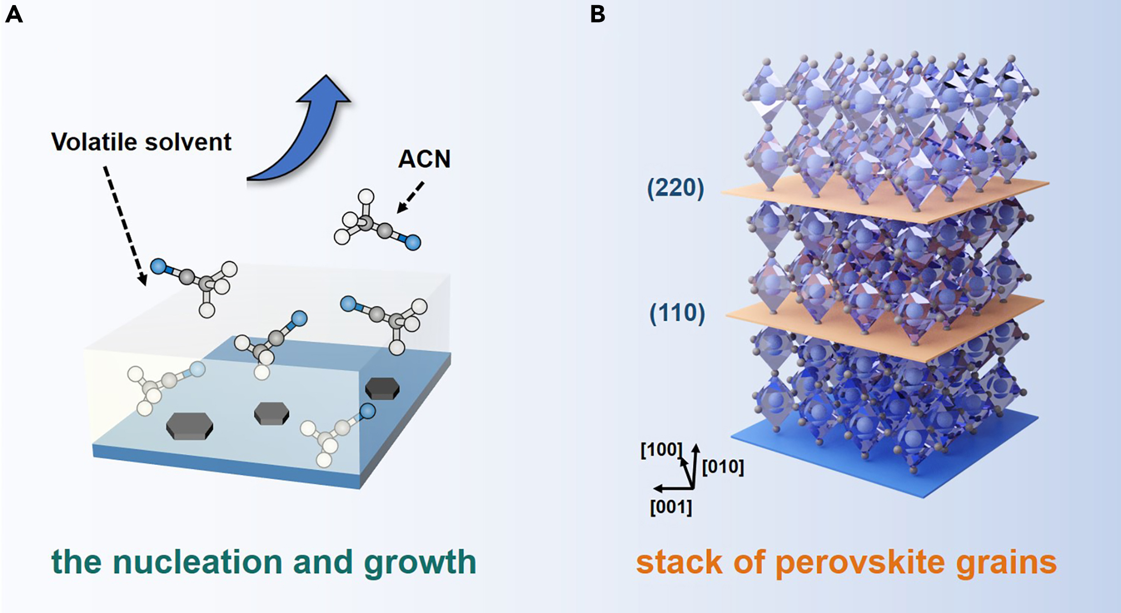Cell Press: STAR Protocols