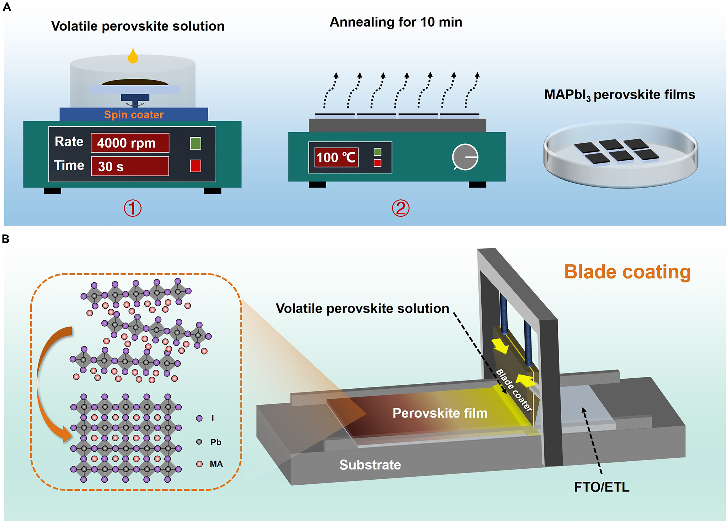 Cell Press: STAR Protocols