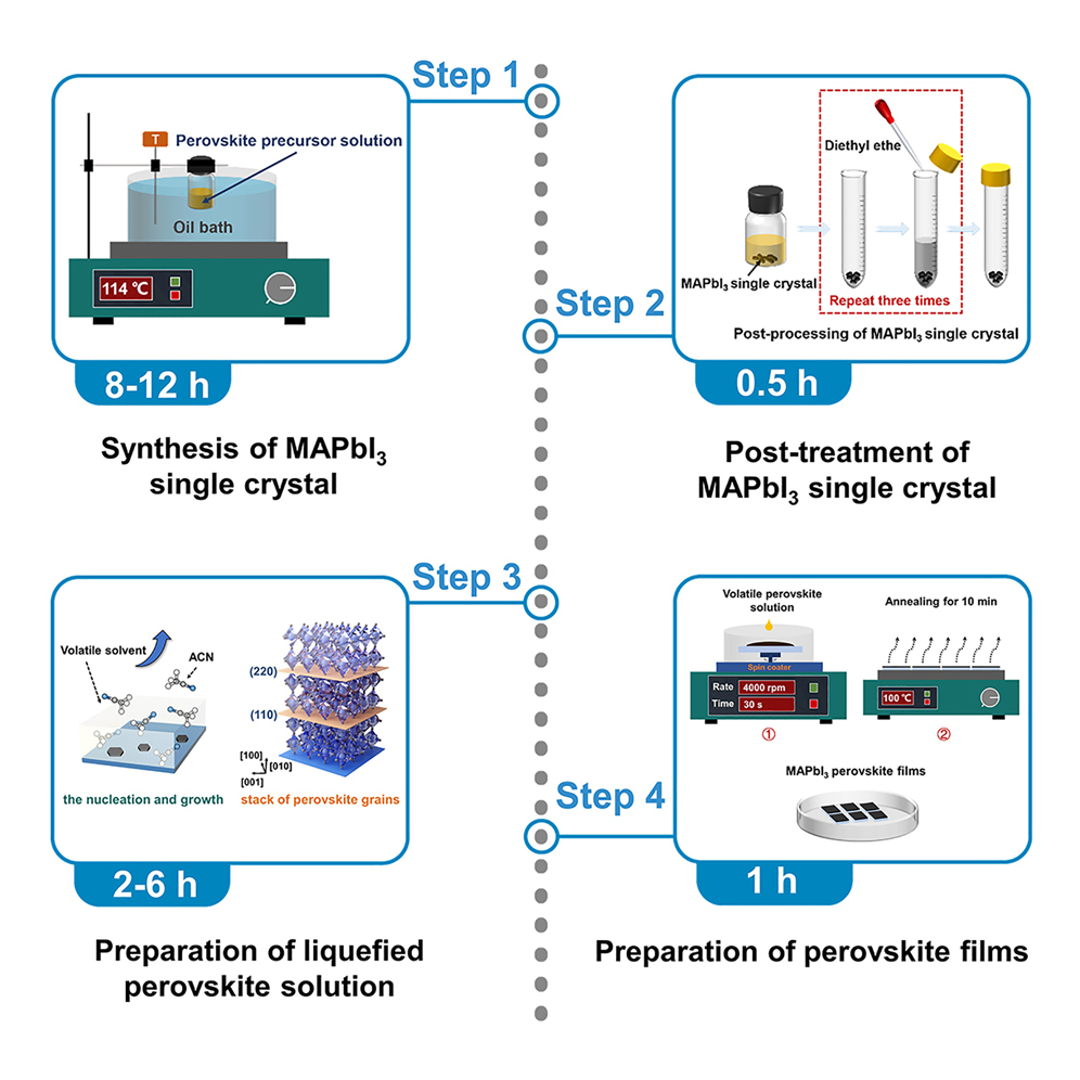 Cell Press: STAR Protocols