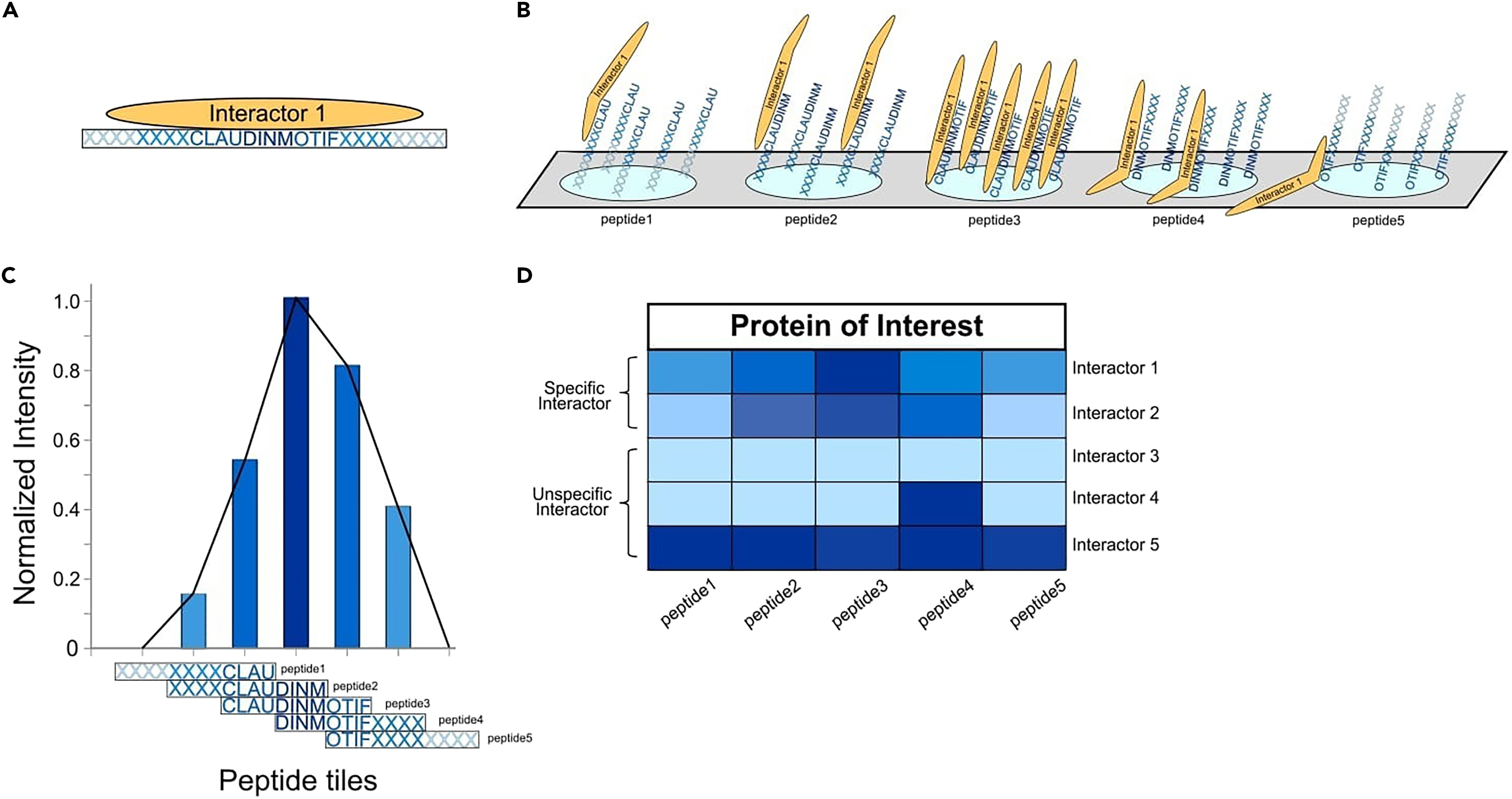 Cell Press: STAR Protocols