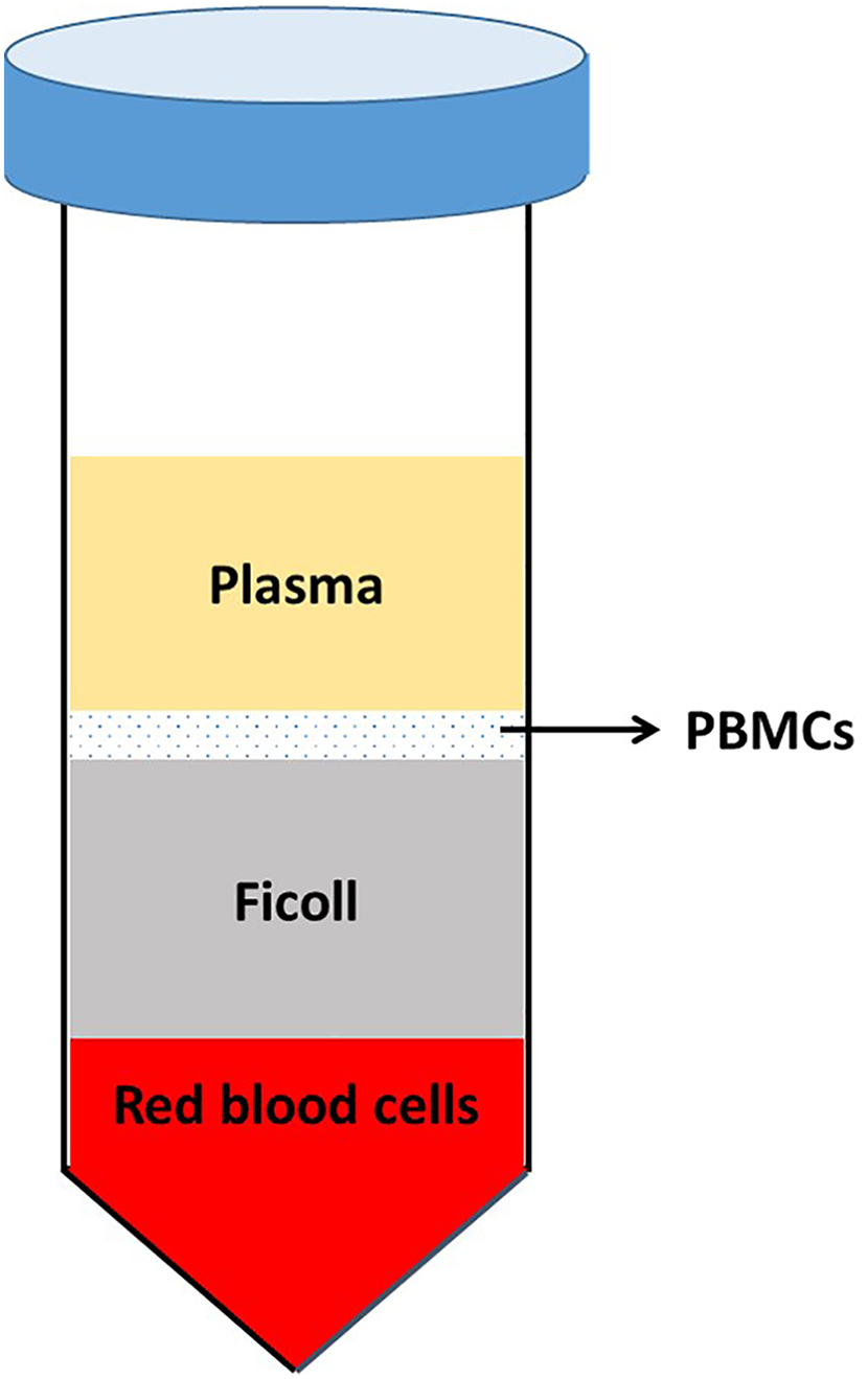 Cell Press: STAR Protocols