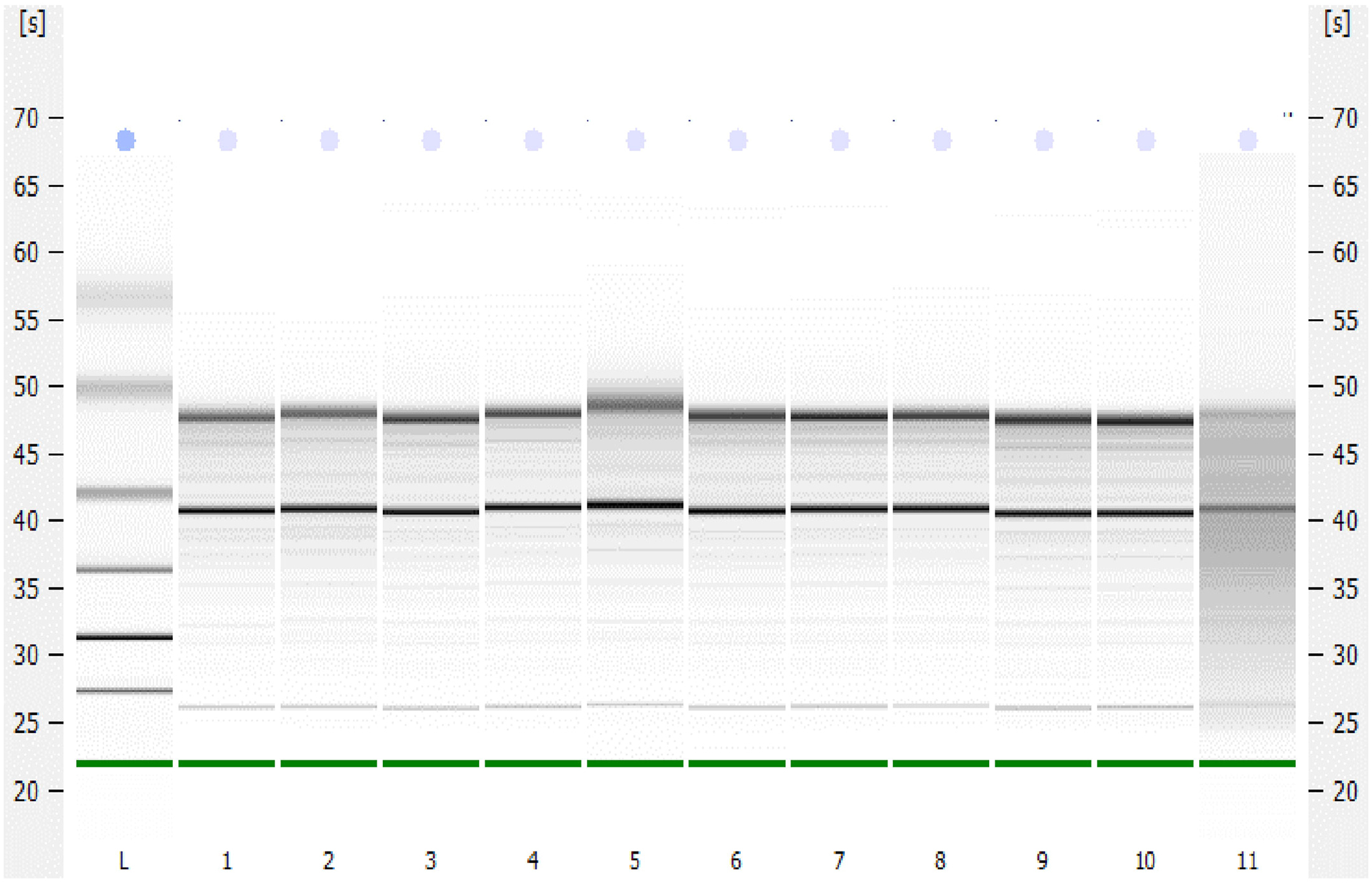 Cell Press: STAR Protocols