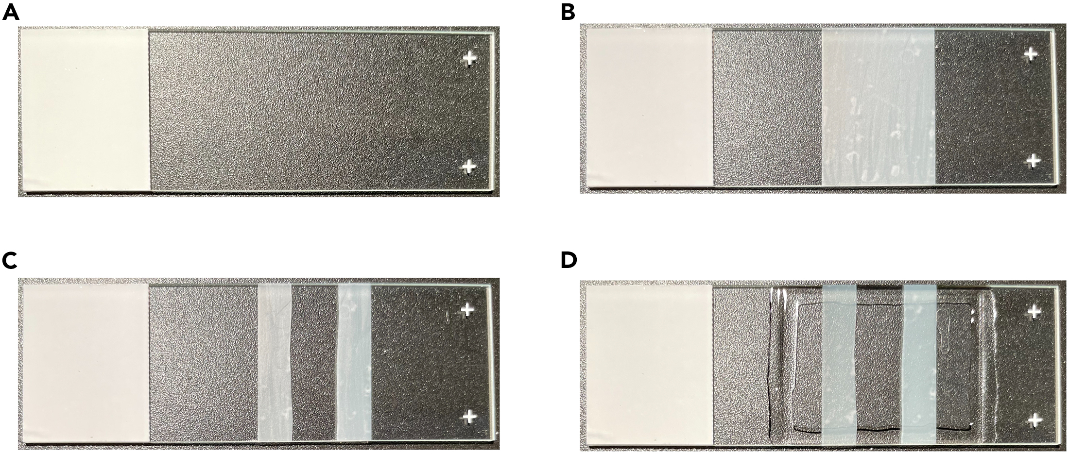 Cell Press: STAR Protocols