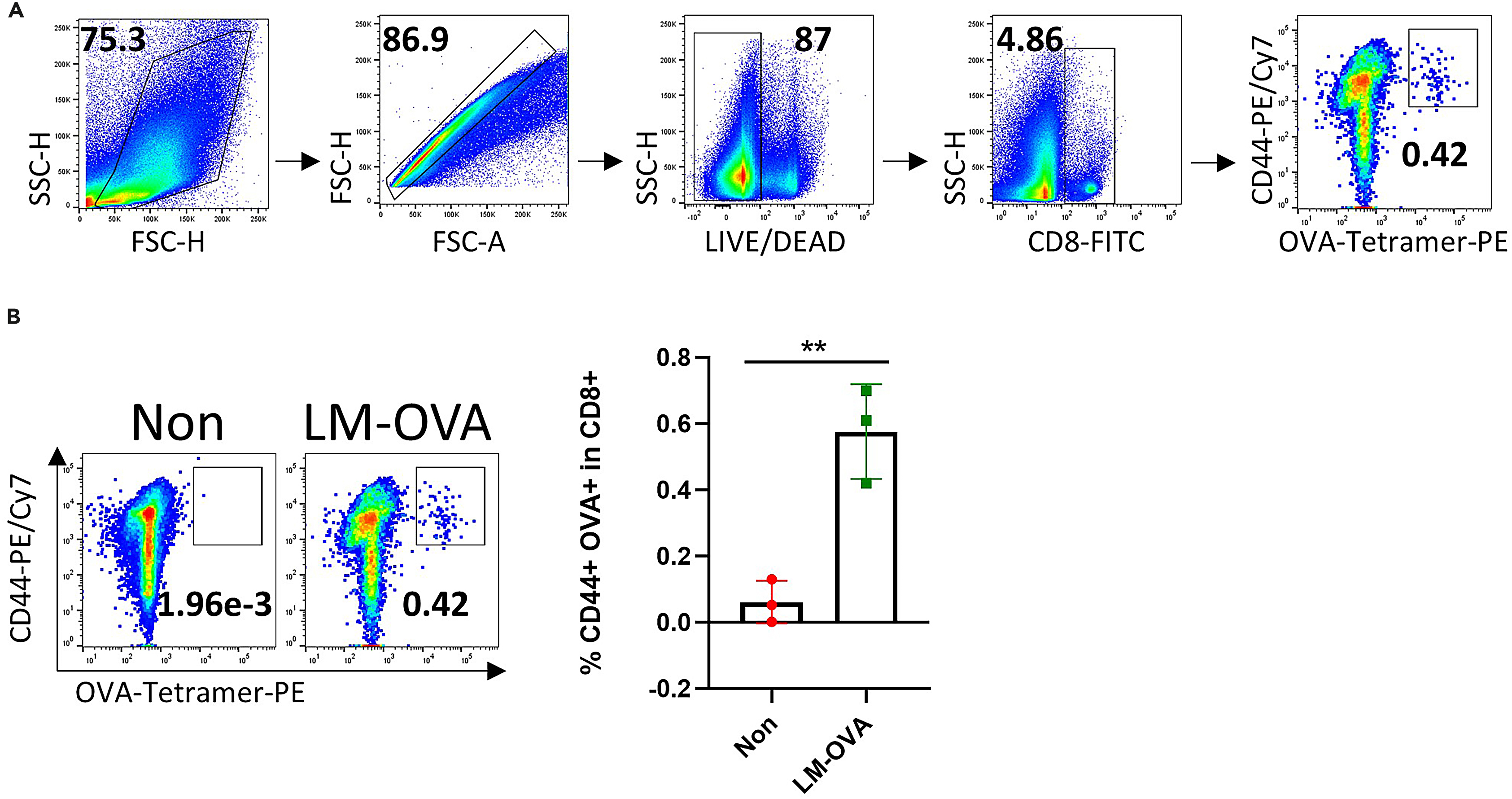 Cell Press: STAR Protocols
