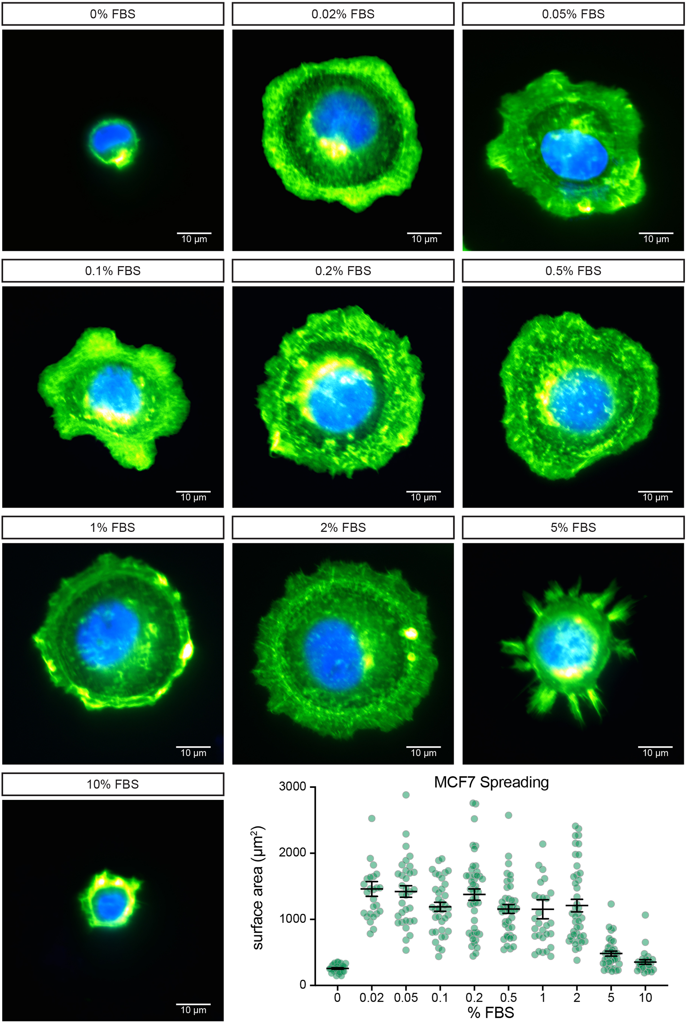 Cell Press: STAR Protocols