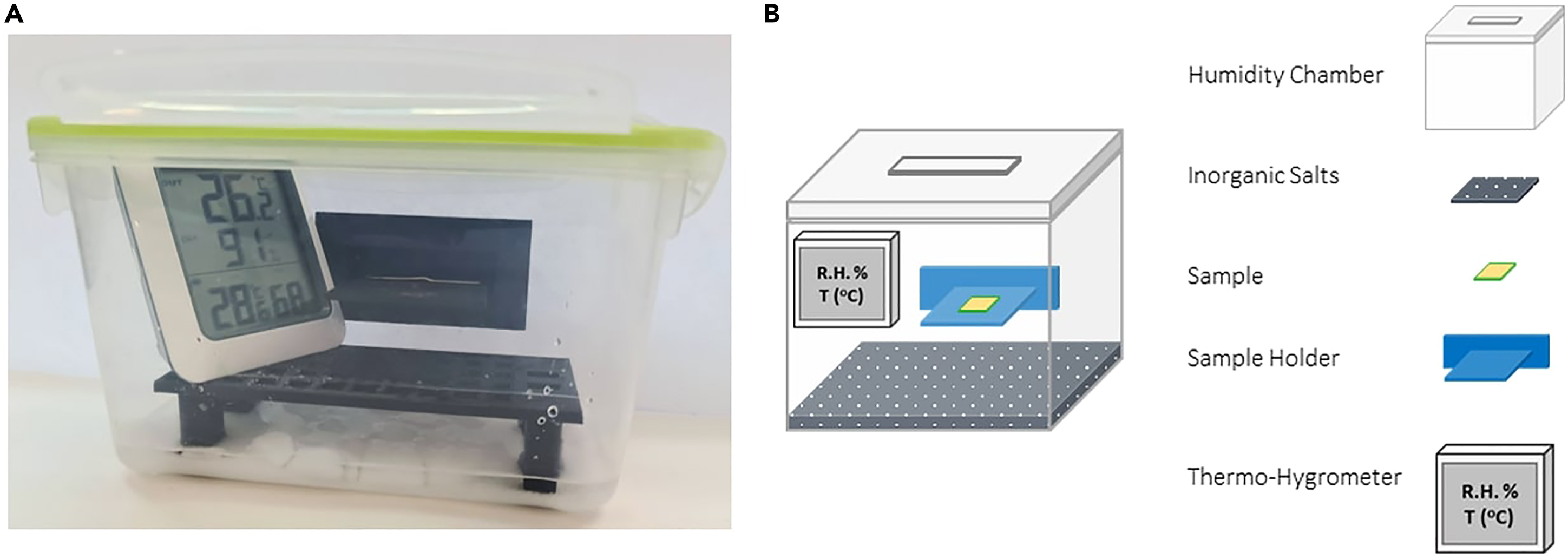 Cell Press: STAR Protocols