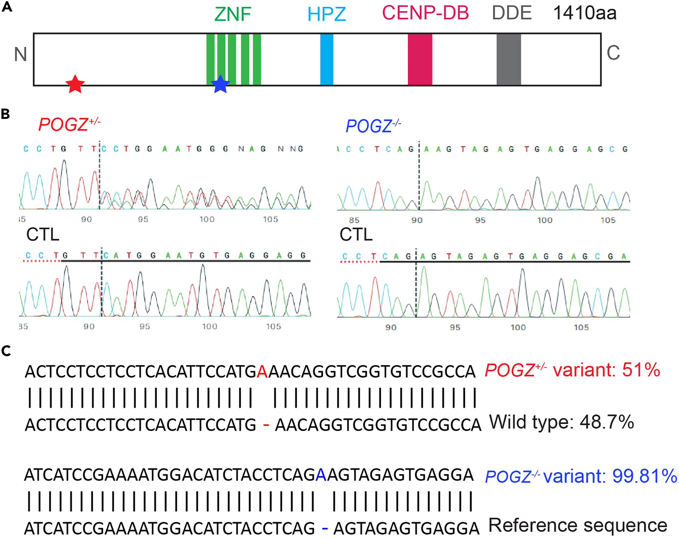 Cell Press: STAR Protocols
