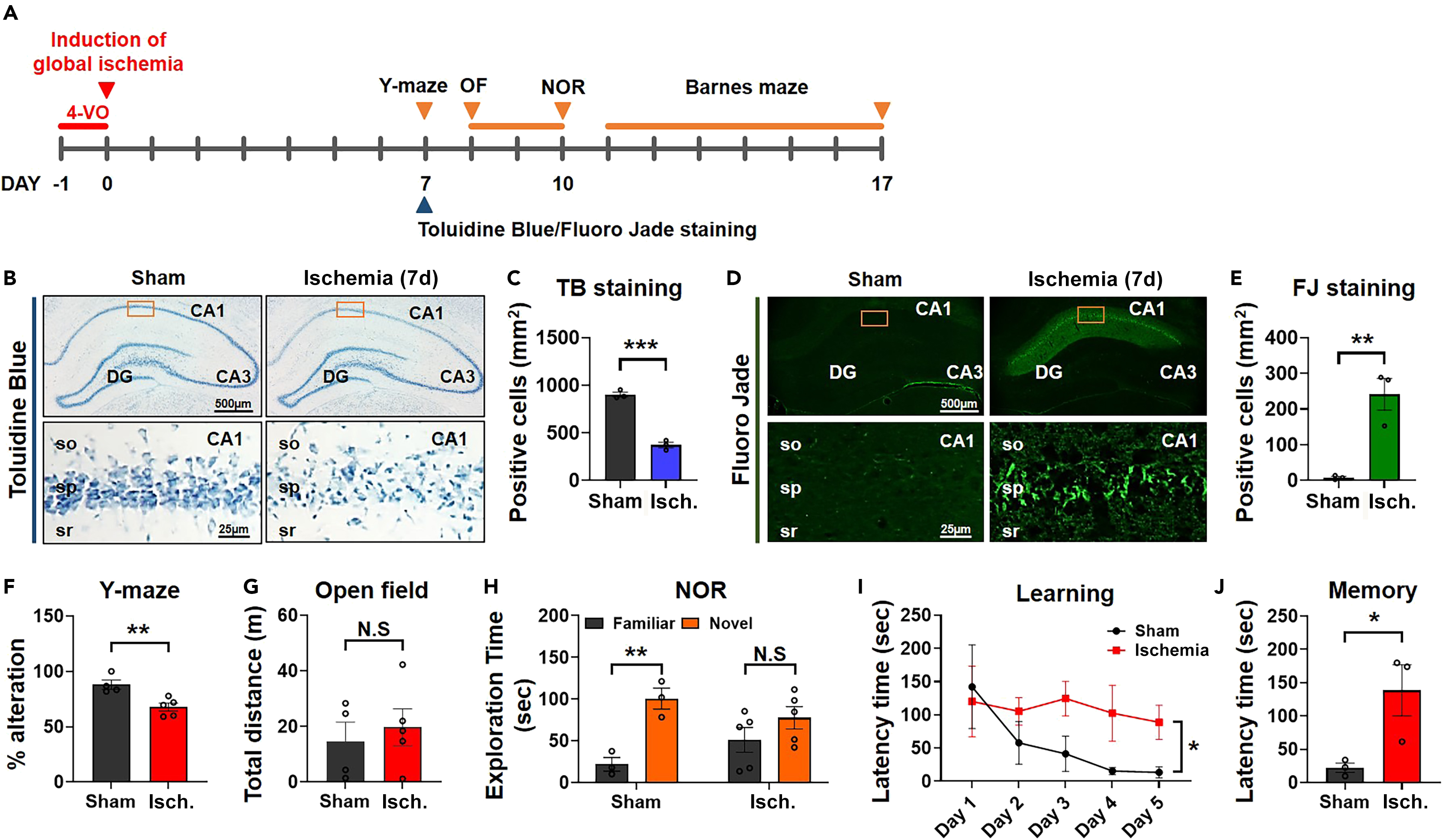 Cell Press: STAR Protocols