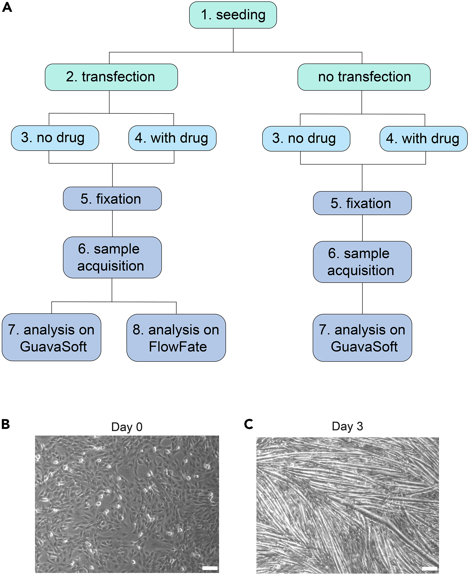 Cell Press: STAR Protocols