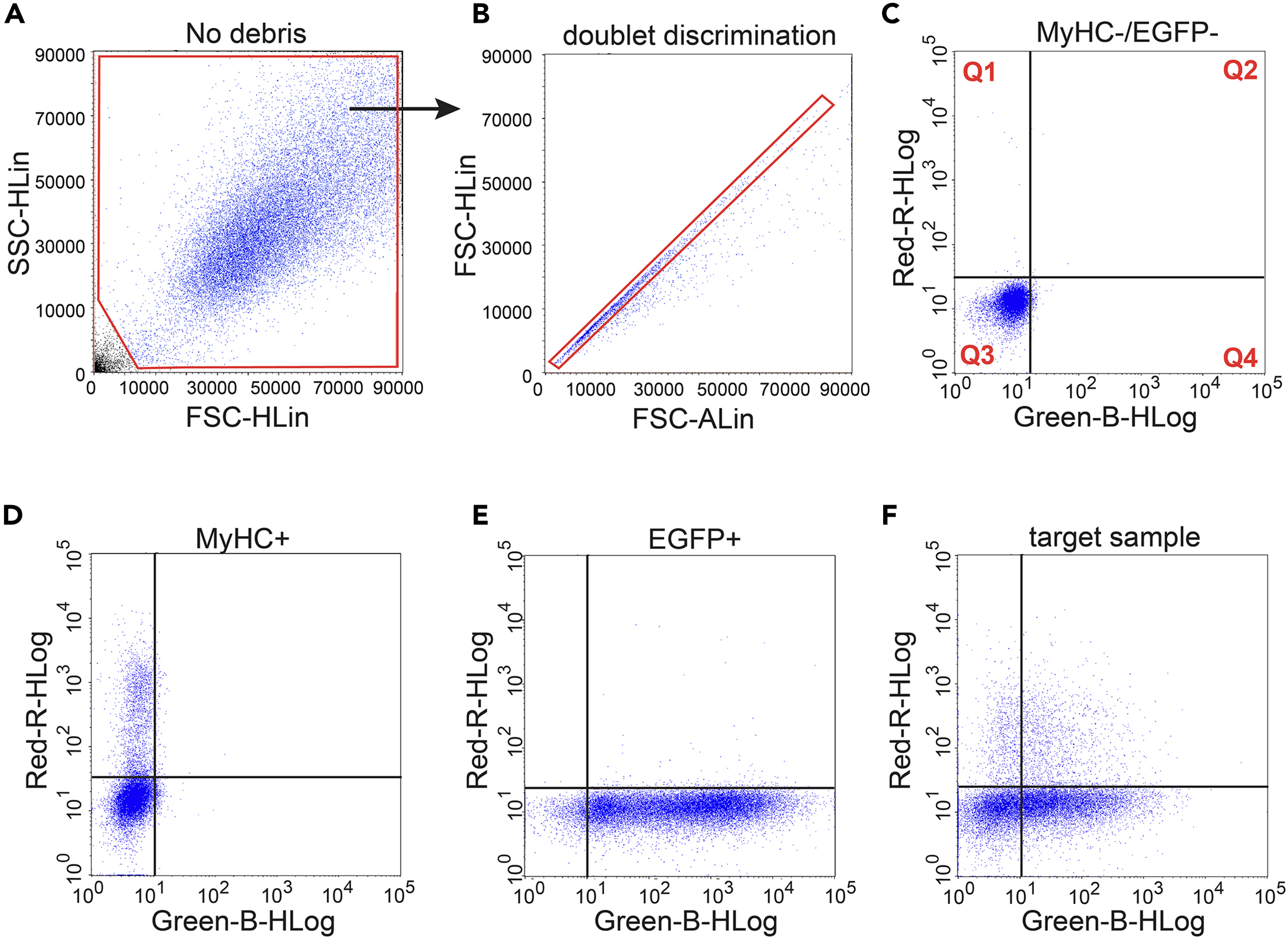 Cell Press: STAR Protocols