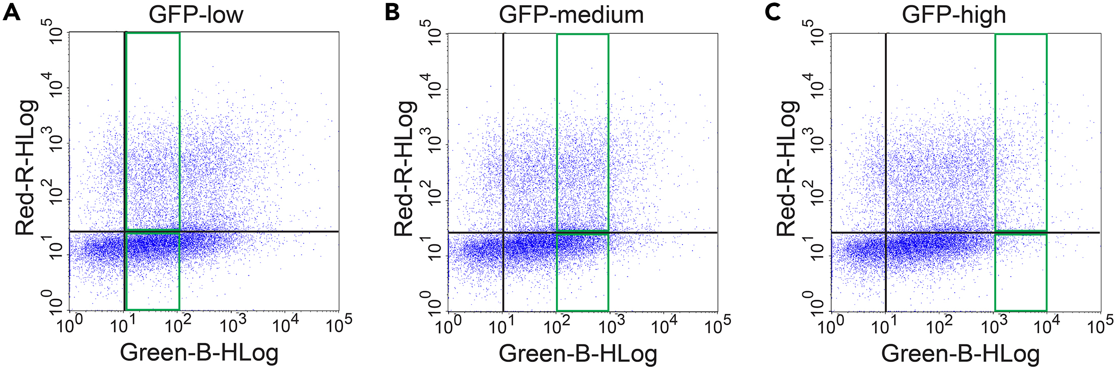 Cell Press: STAR Protocols