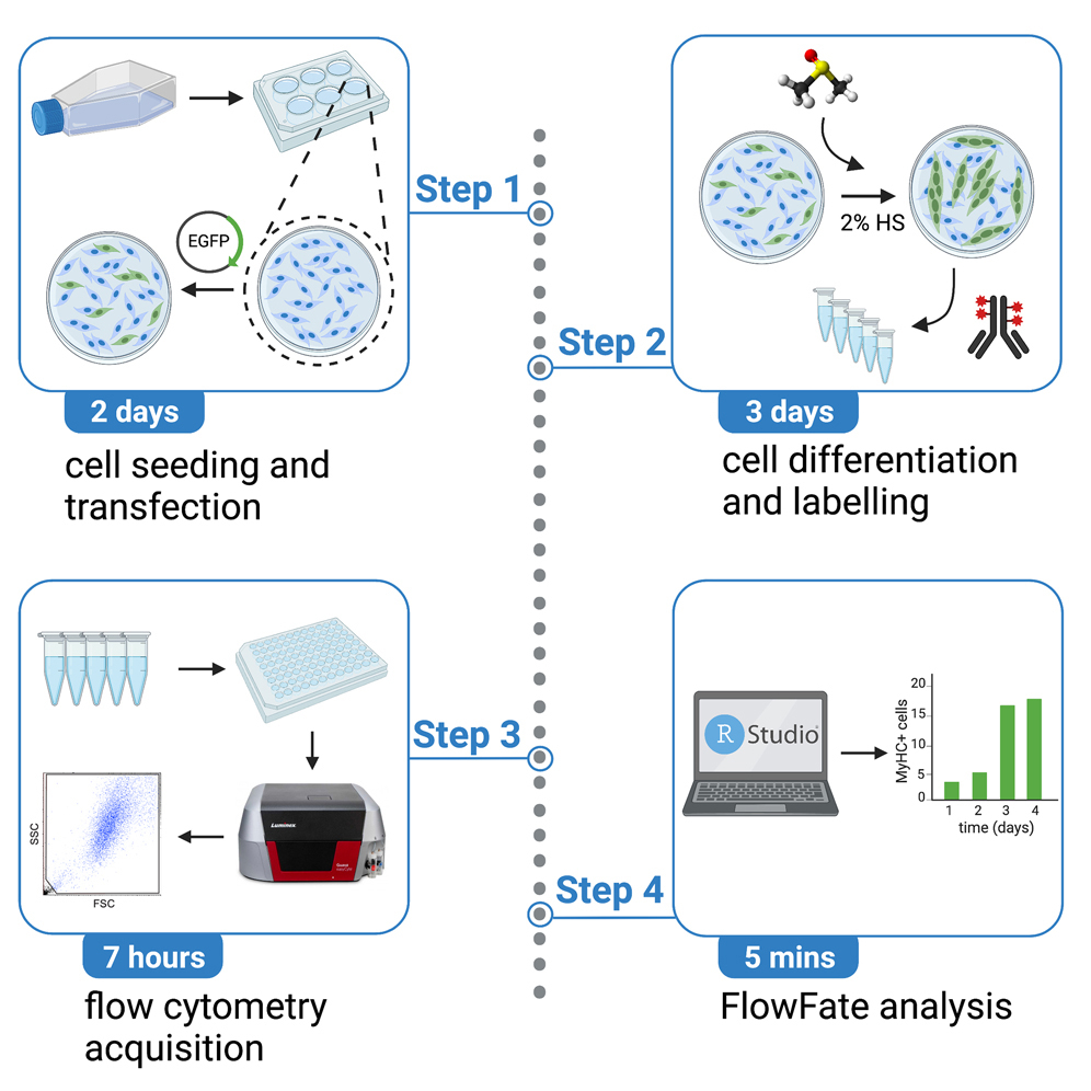 Cell Press: STAR Protocols