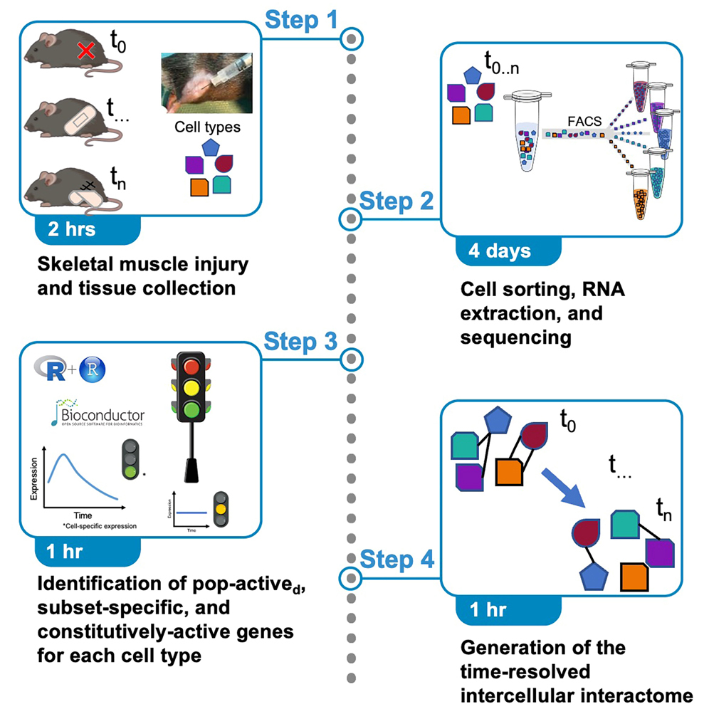 Cell Press: STAR Protocols