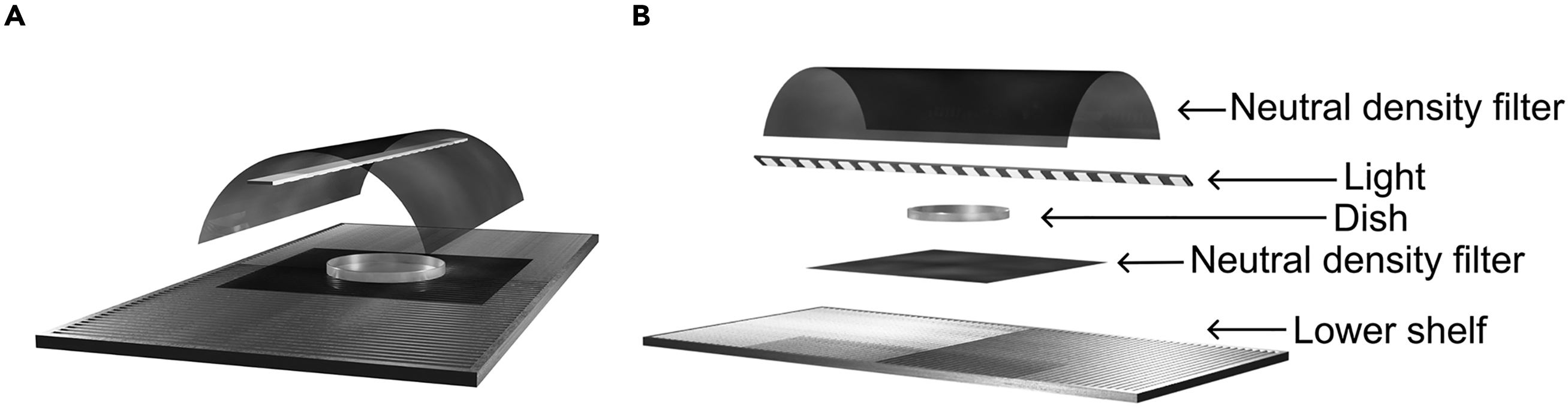Cell Press: STAR Protocols