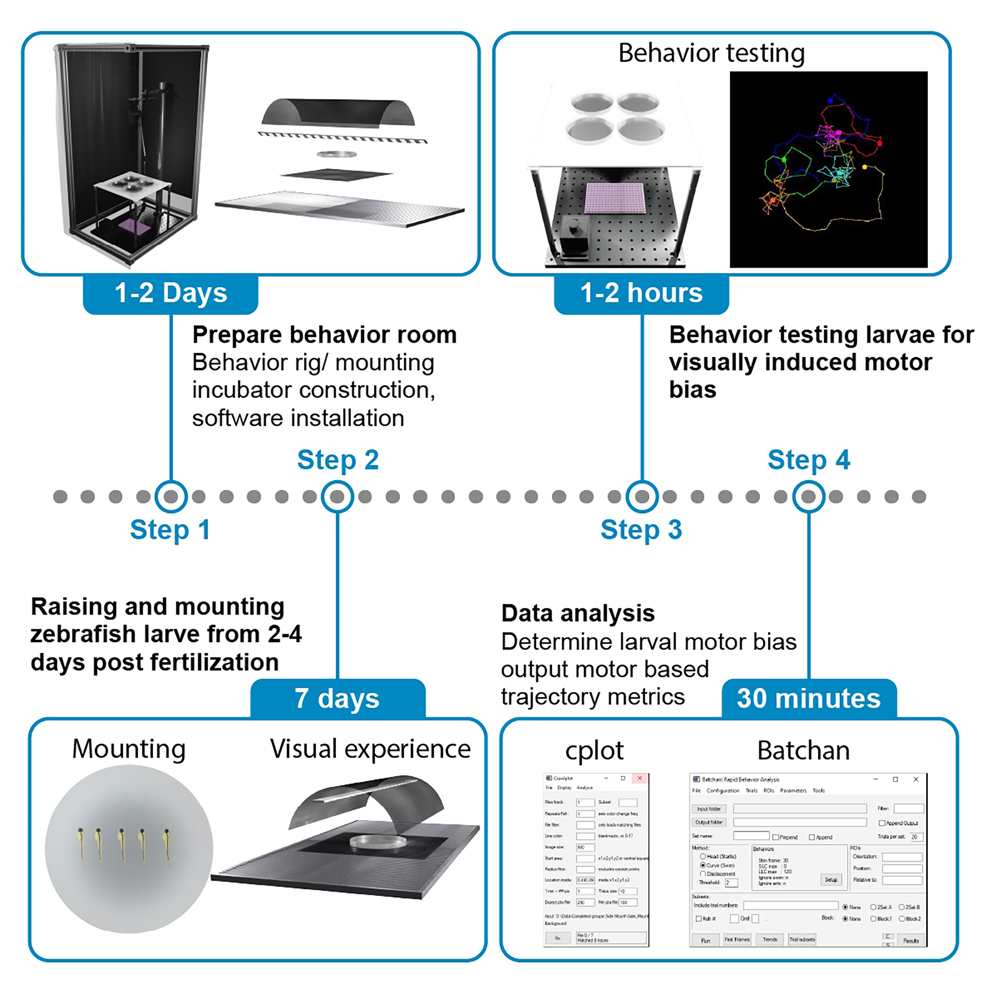 Cell Press: STAR Protocols
