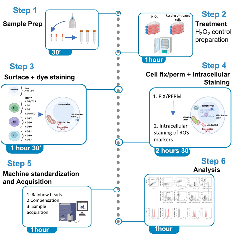 Cell Press: STAR Protocols