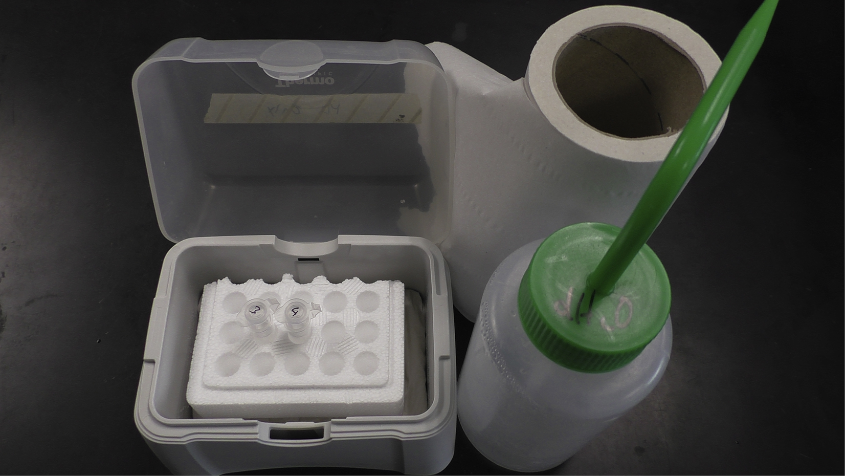 Cell Press: STAR Protocols