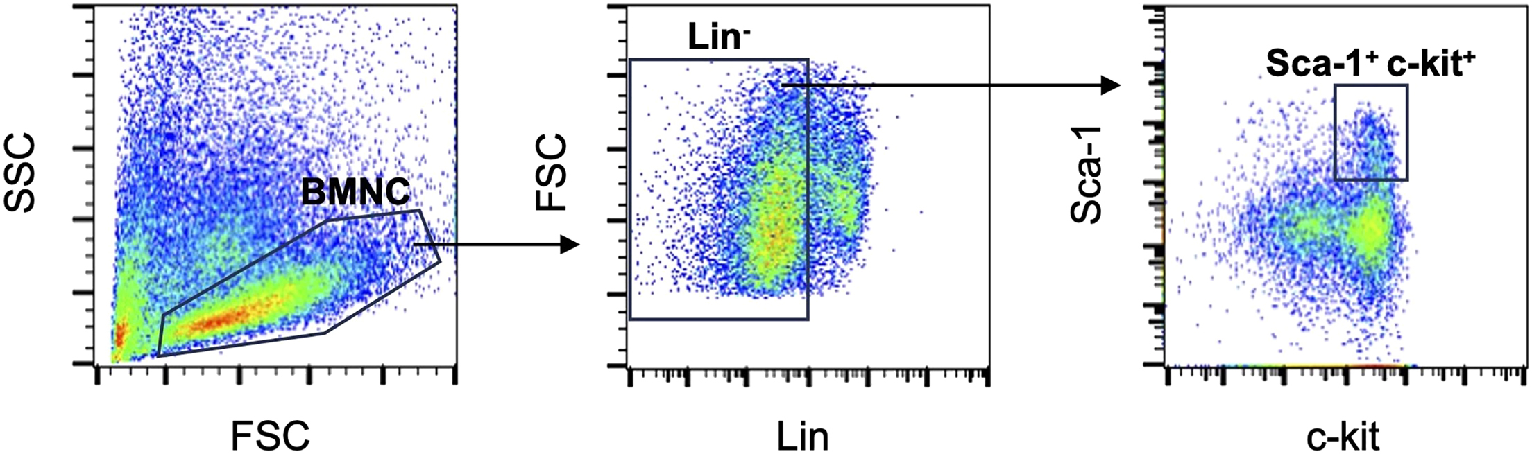 Cell Press: STAR Protocols