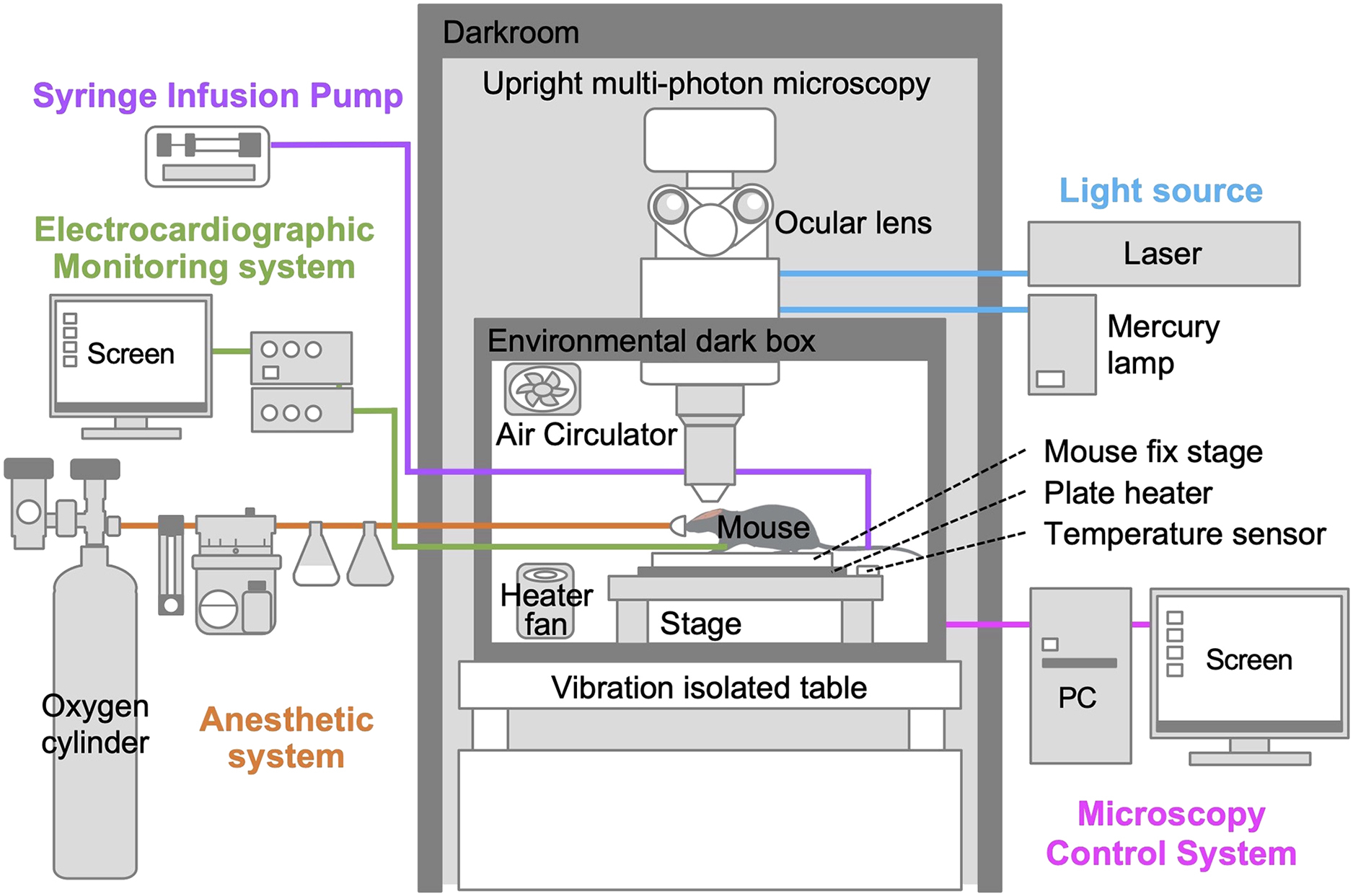 Cell Press: STAR Protocols