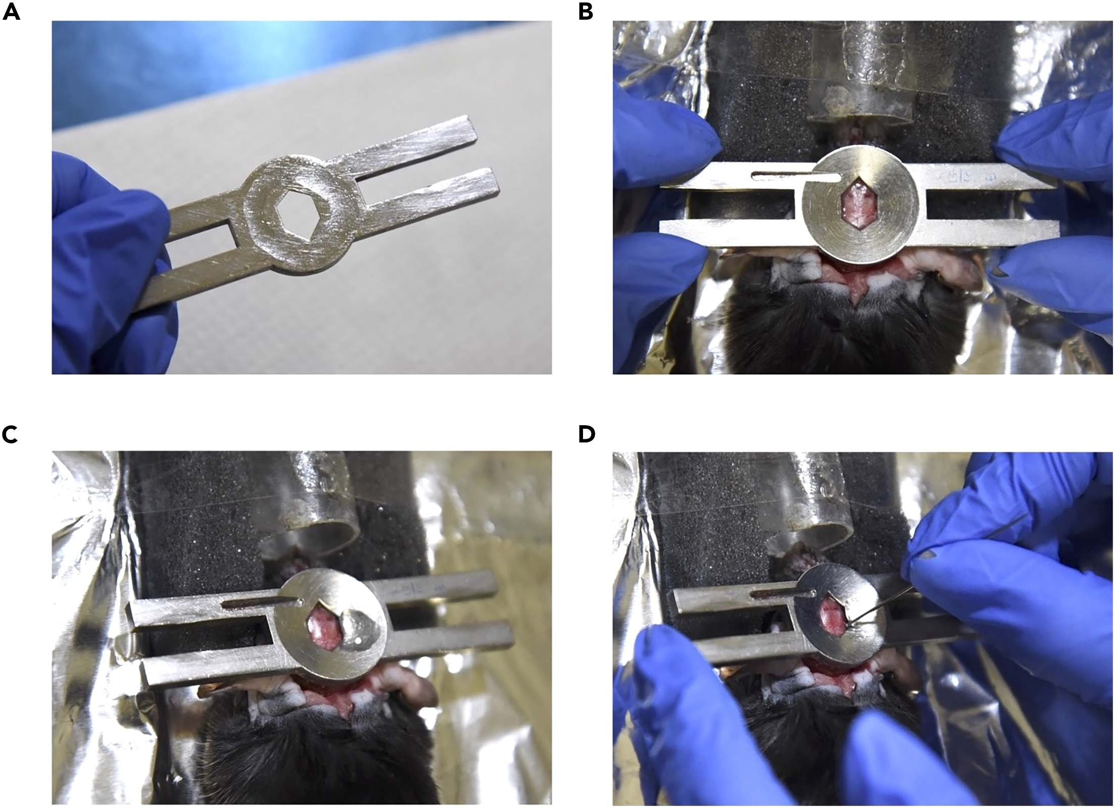Cell Press: STAR Protocols