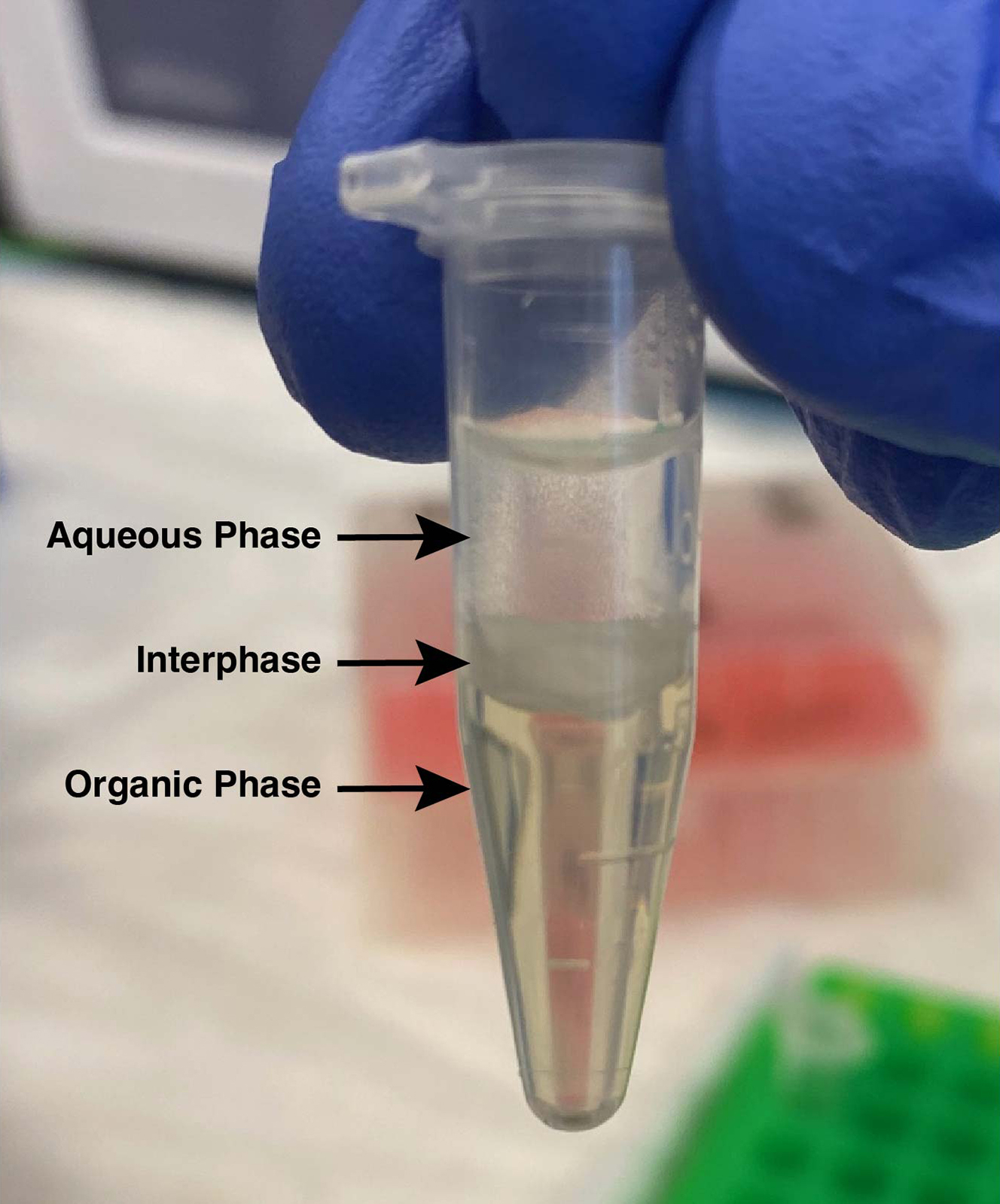 Cell Press: STAR Protocols