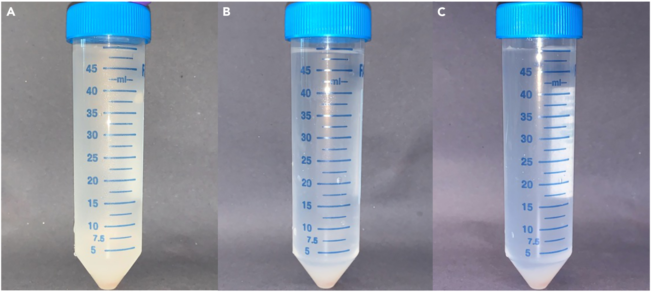 Cell Press: STAR Protocols