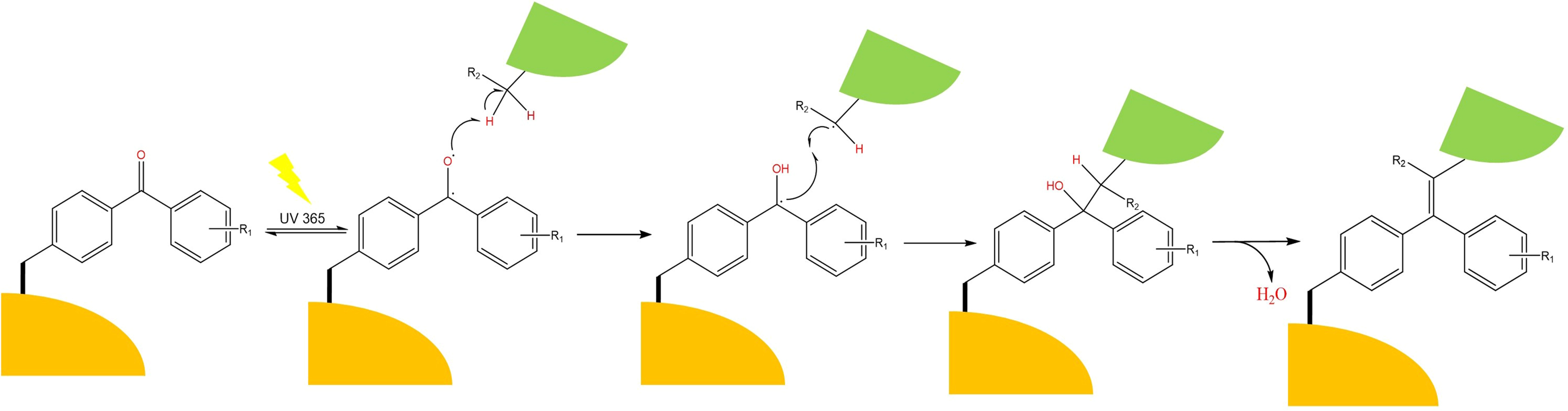 Cell Press: STAR Protocols