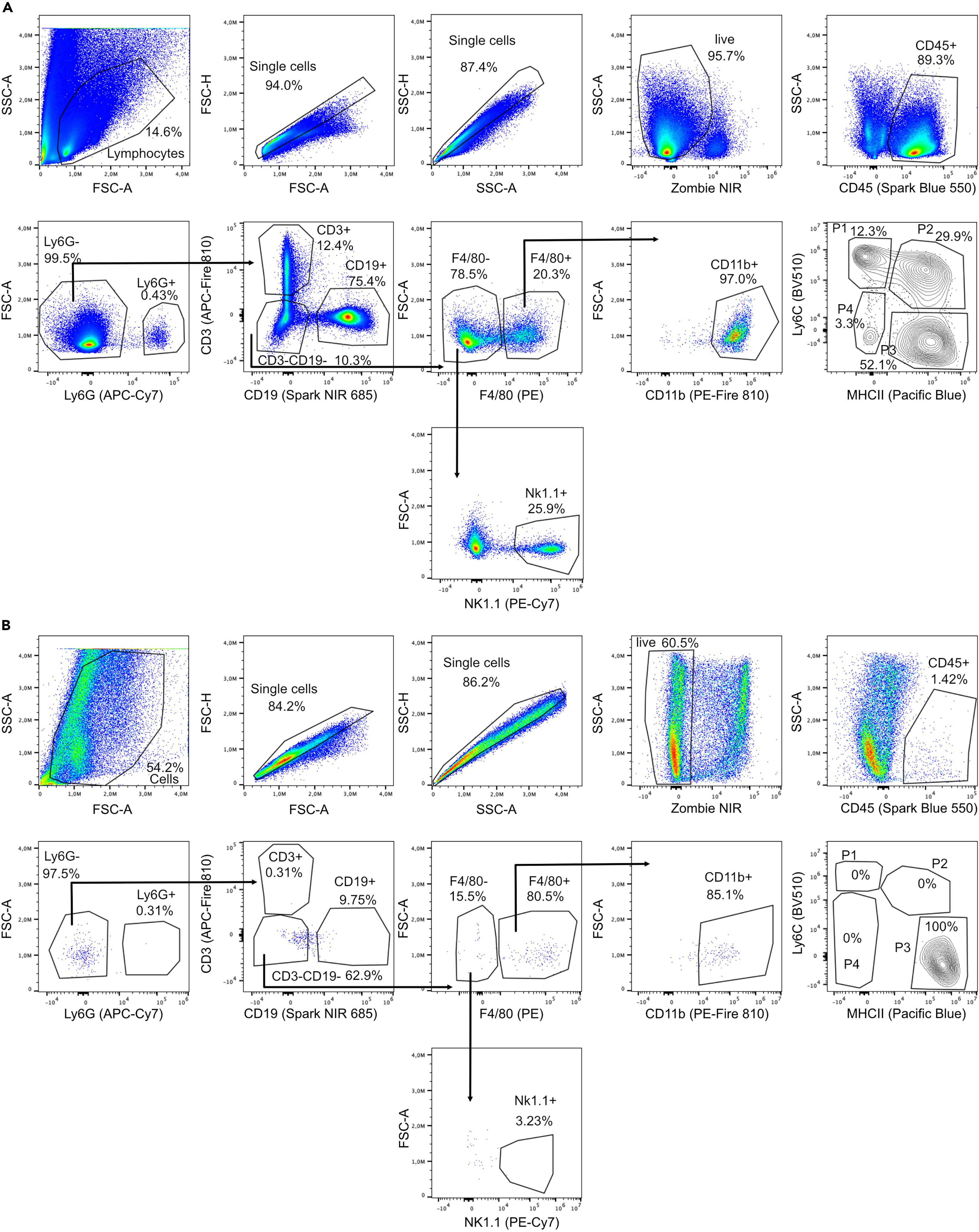 Cell Press: STAR Protocols