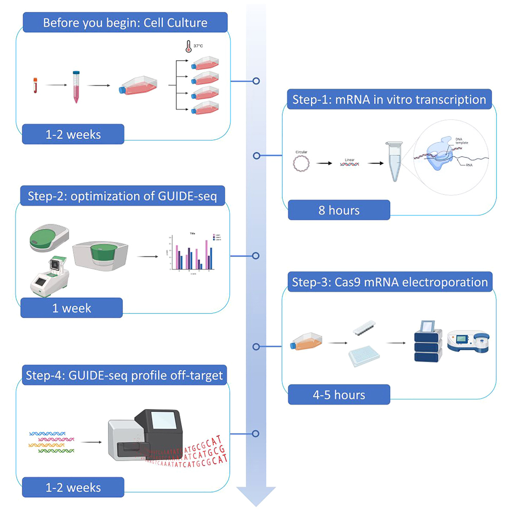 Cell Press: STAR Protocols