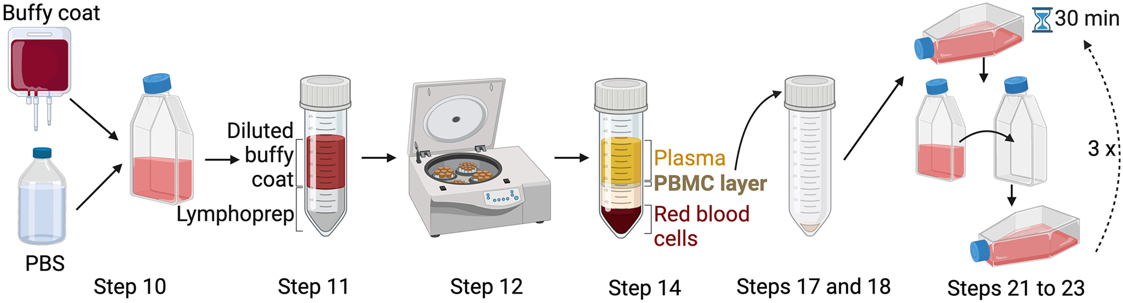 Cell Press: STAR Protocols
