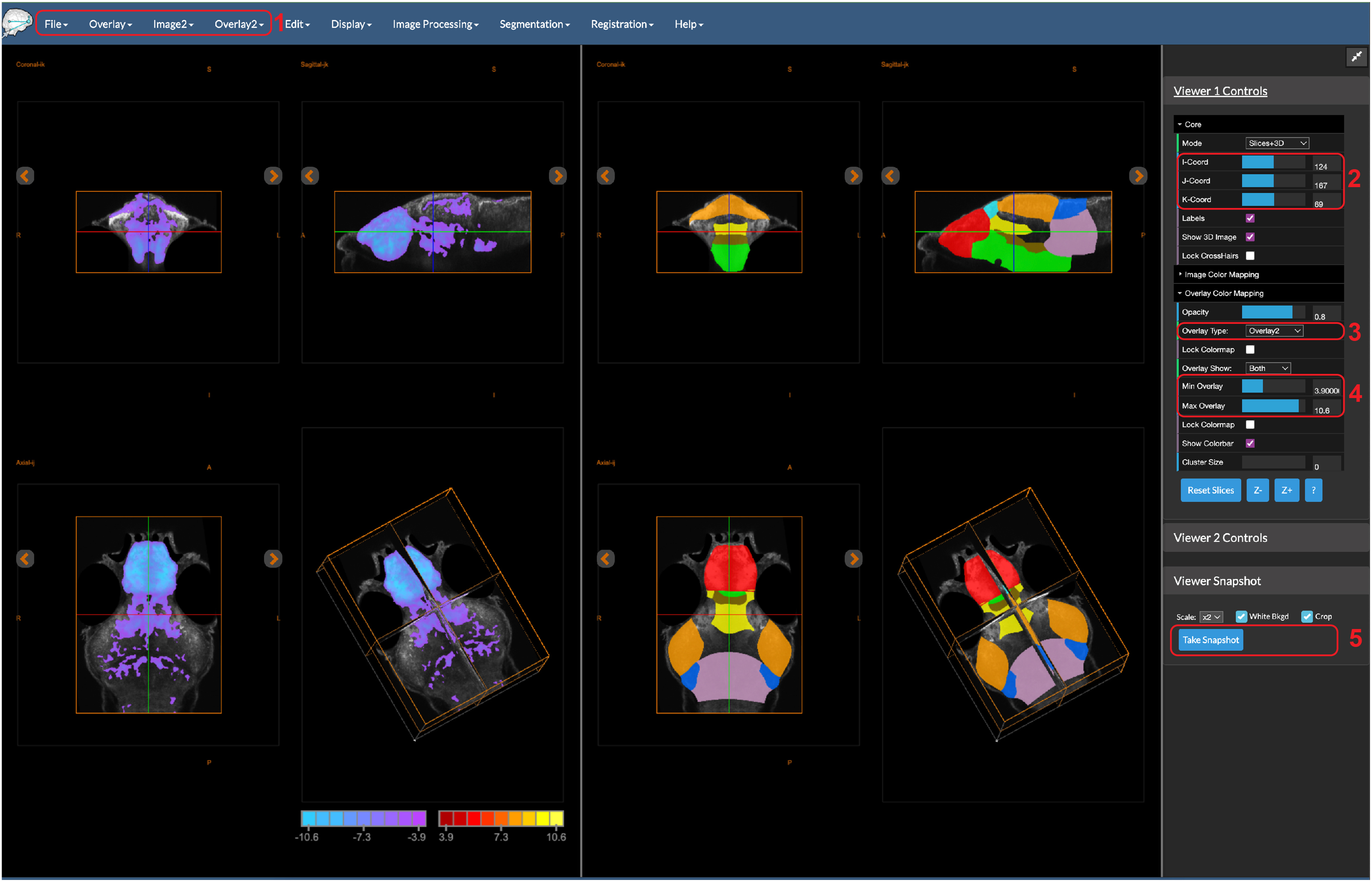 Cell Press: STAR Protocols