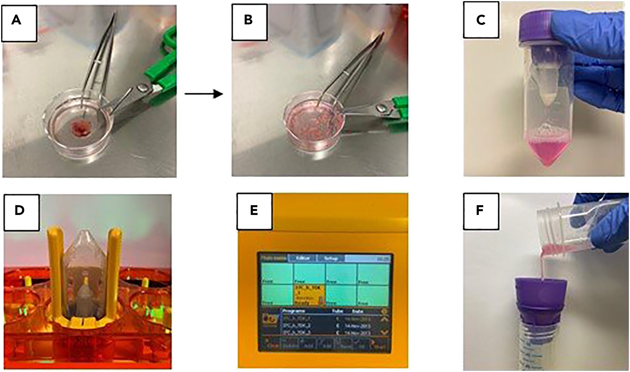 Cell Press: STAR Protocols