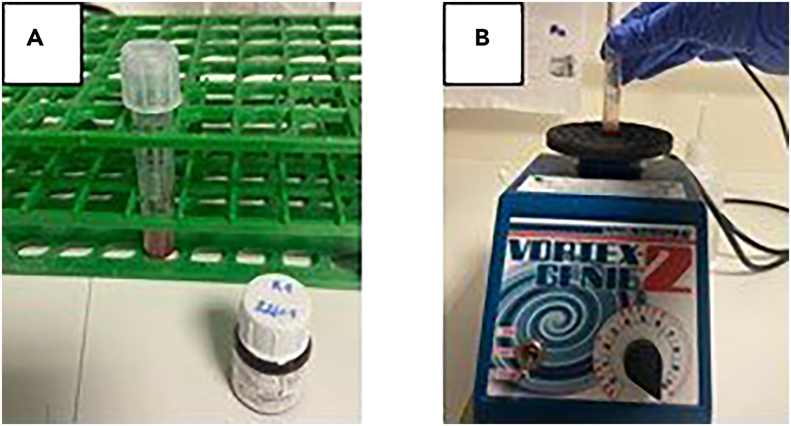 Cell Press: STAR Protocols